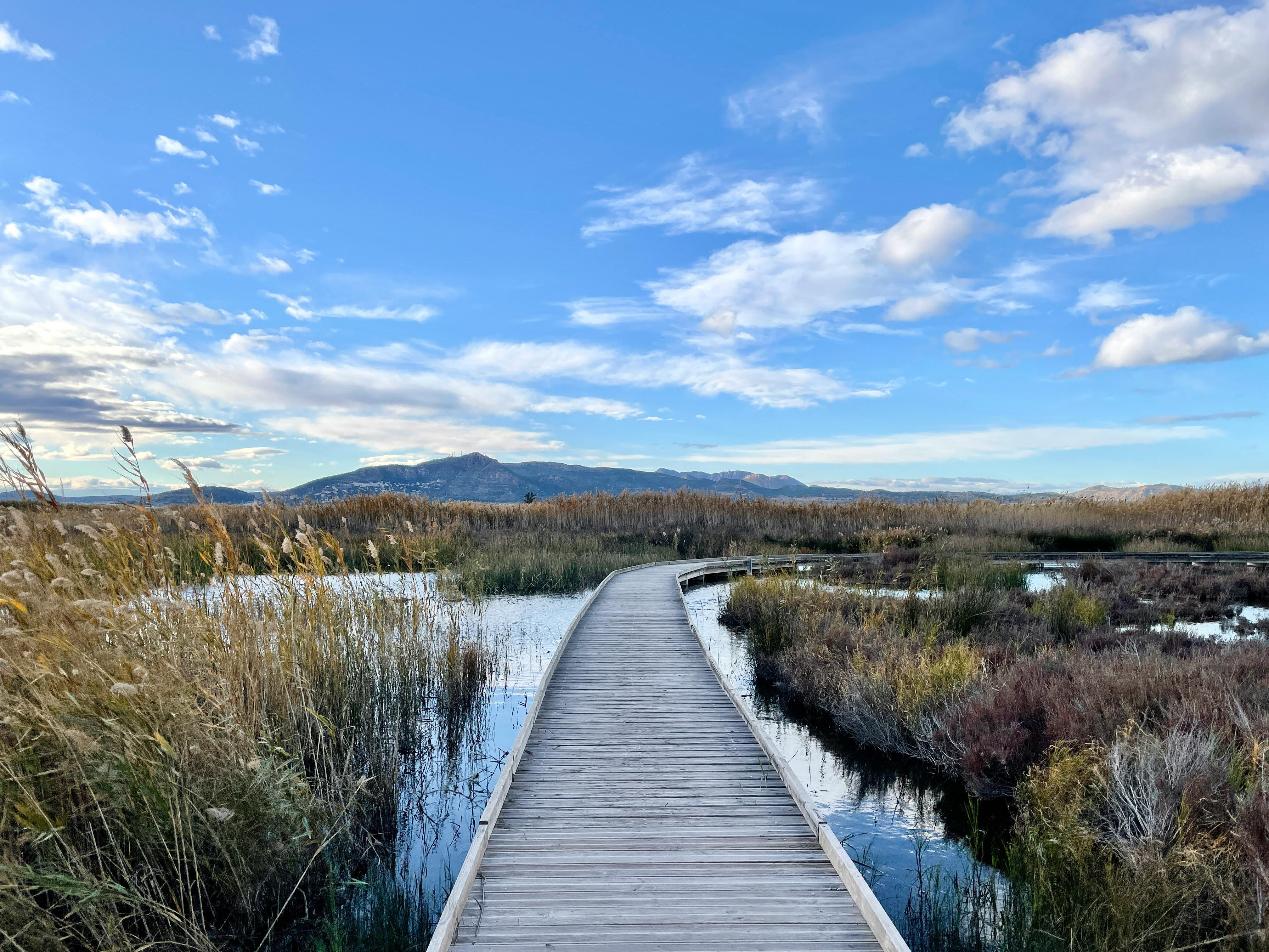 Landscape with Wooden Path over Lake · Free Stock Photo