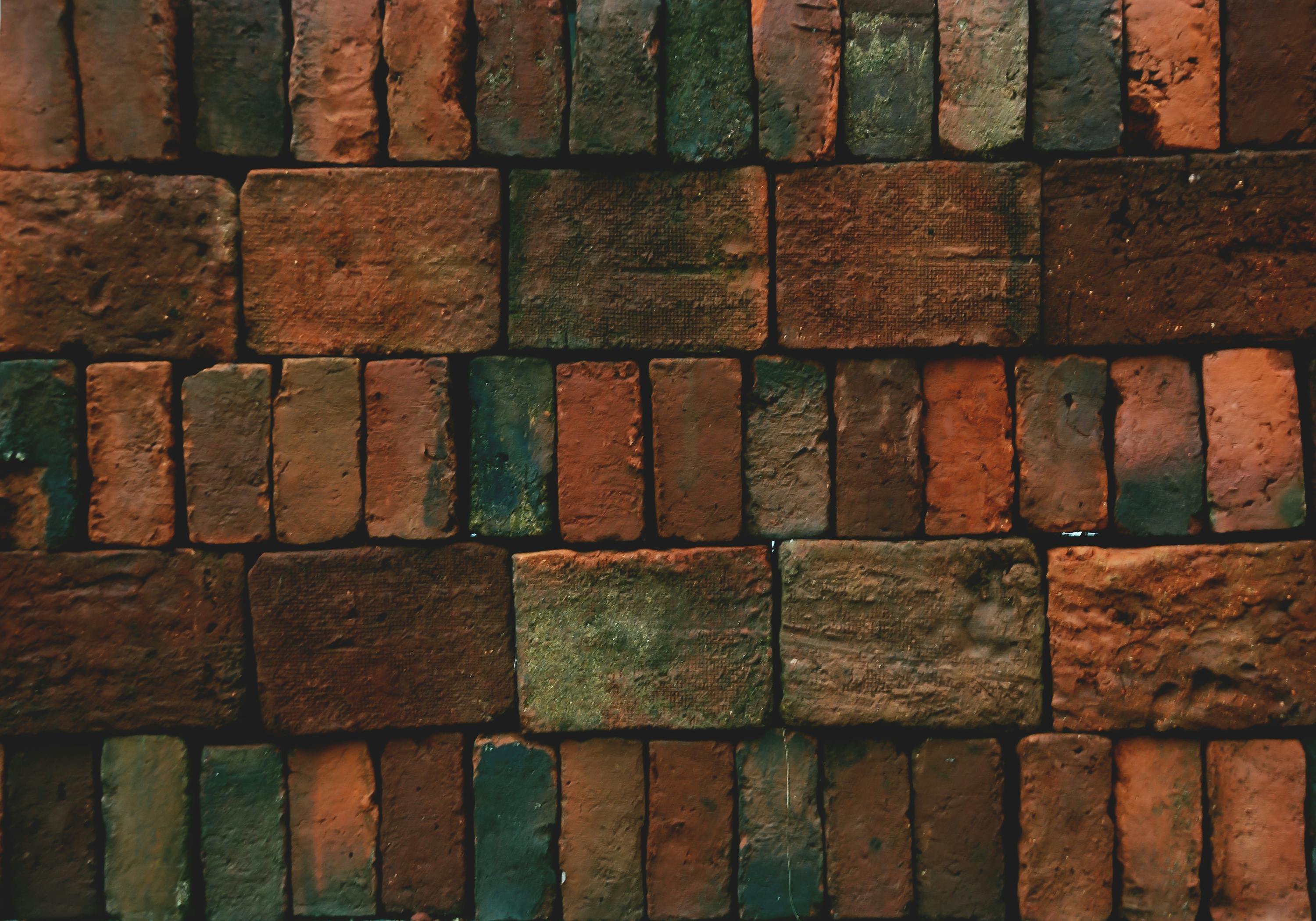 Close-up Photo of Texture Surface · Free Stock Photo