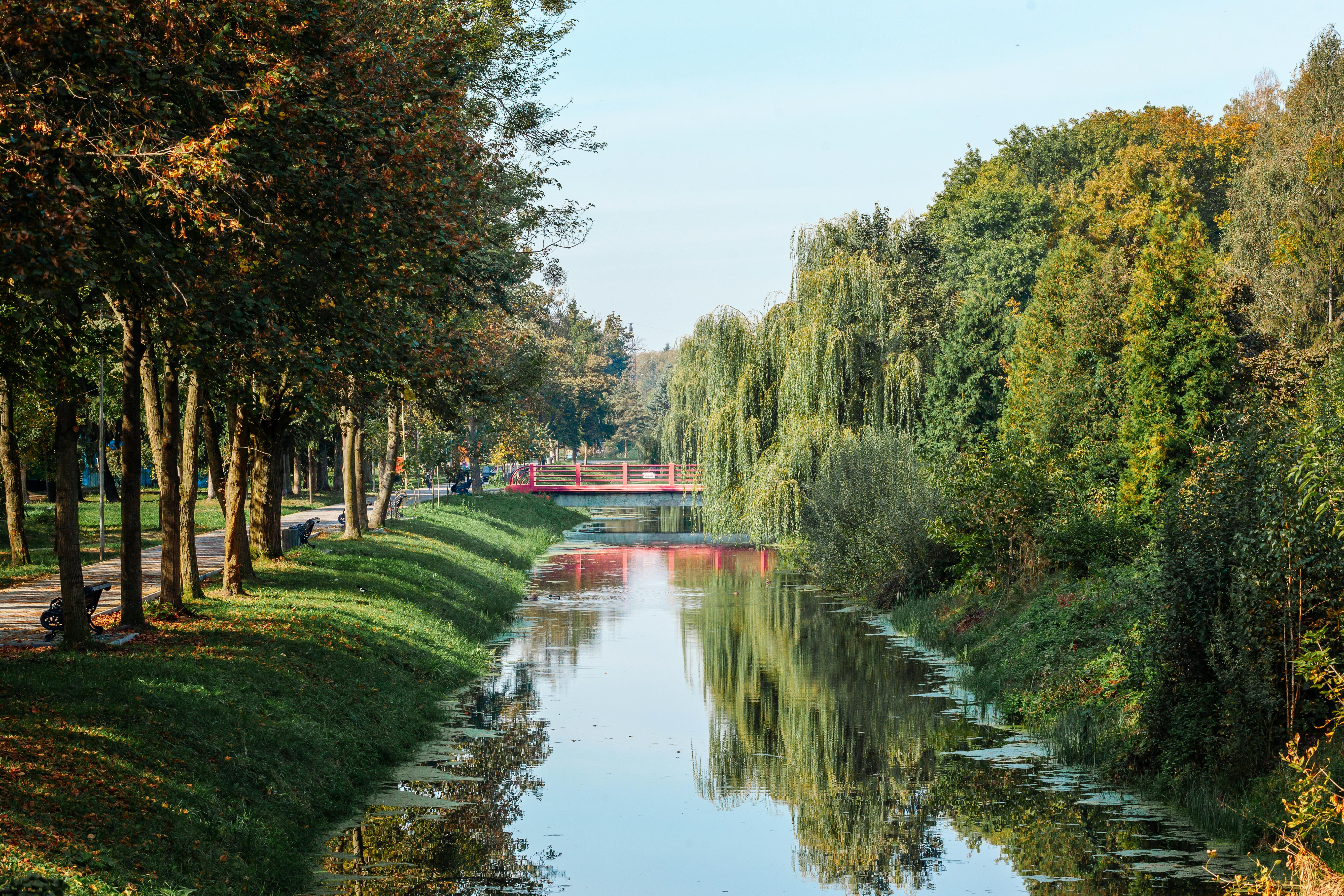 A River in a Park Reflecting Trees on Both Sides · Free Stock Photo