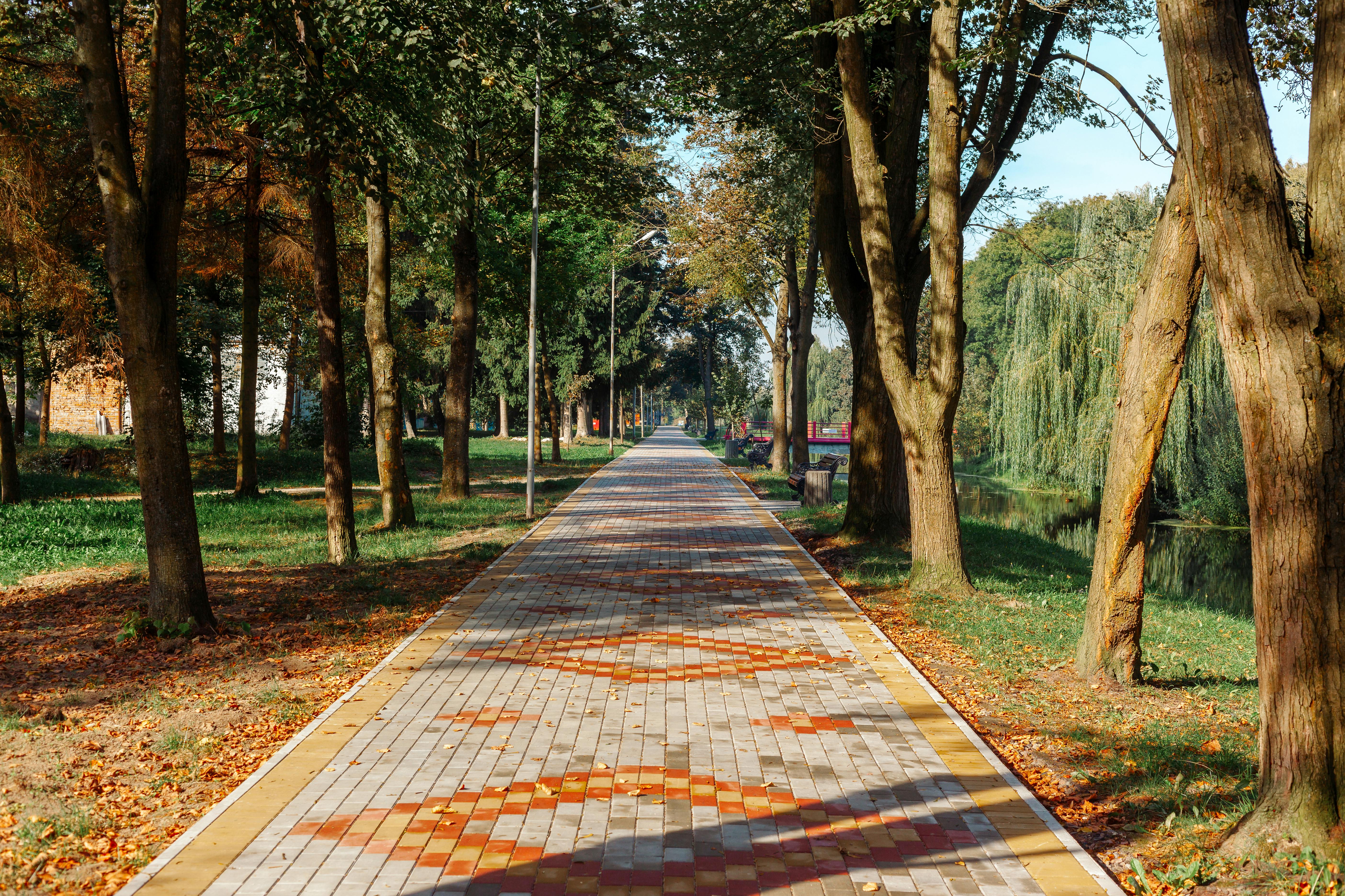 Walkway in an Autumn Park · Free Stock Photo