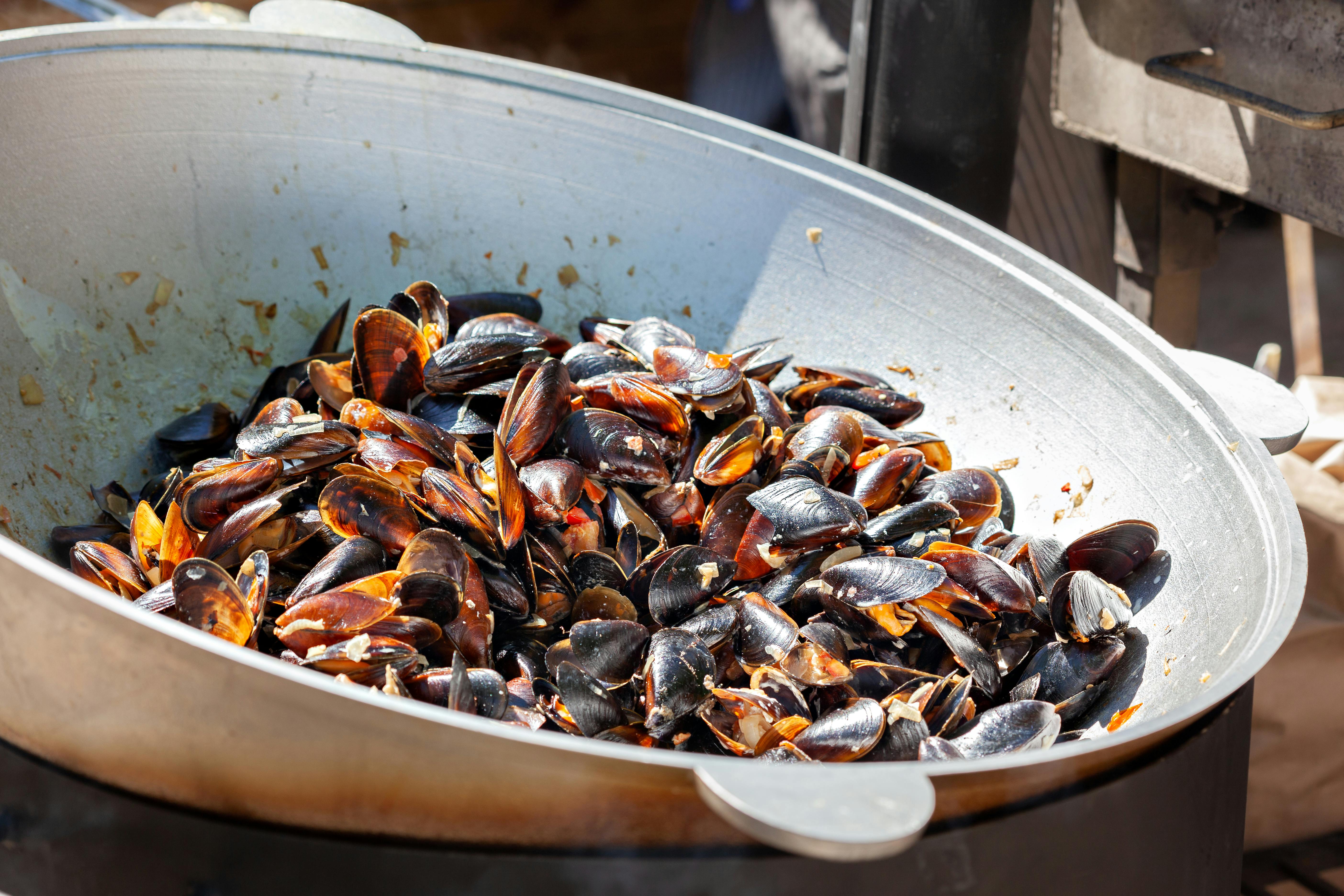 100+ Best Mussels Photos · 100% Free Download · Pexels Stock Photos