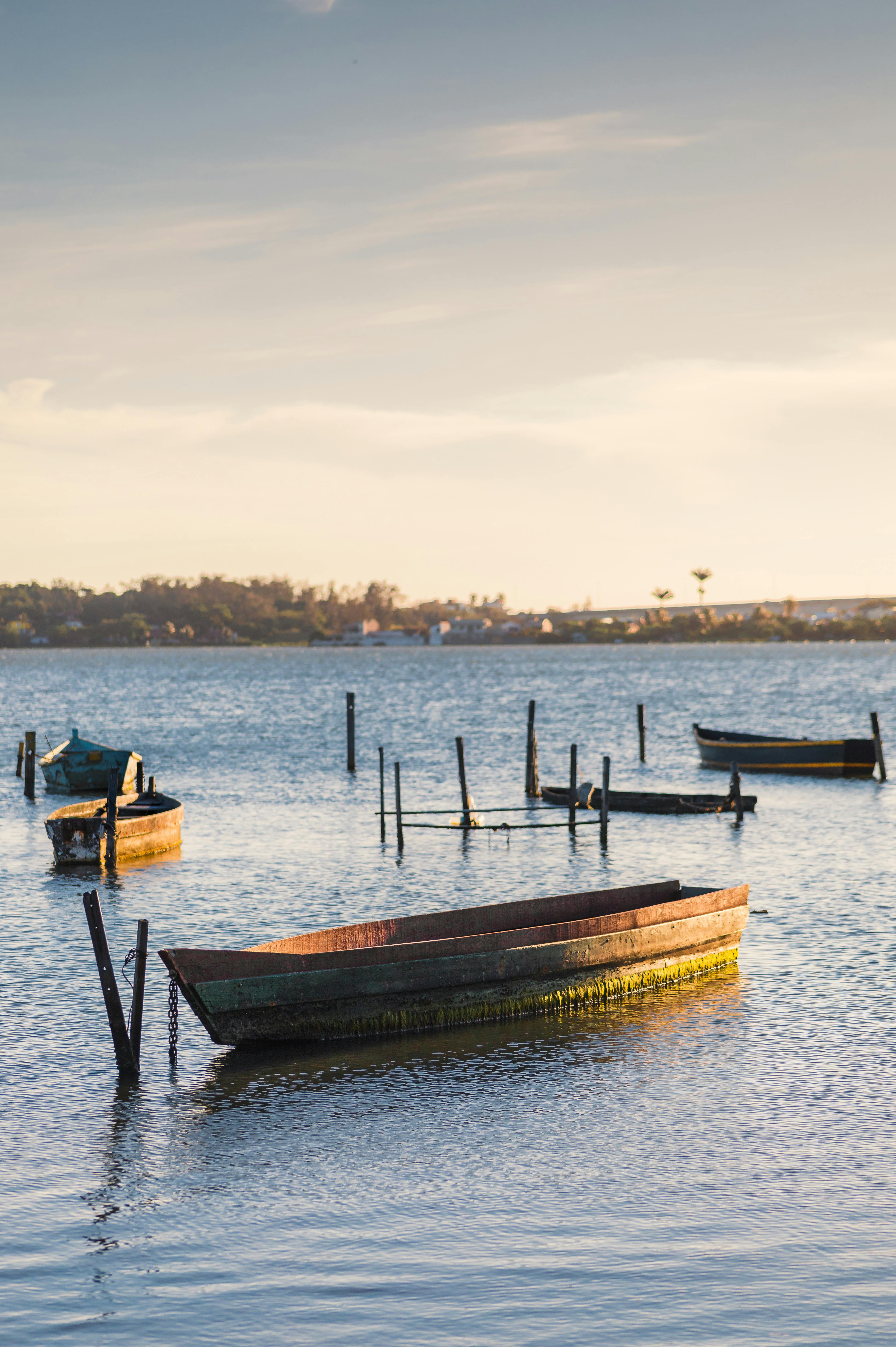 Boats on Lakeshore · Free Stock Photo