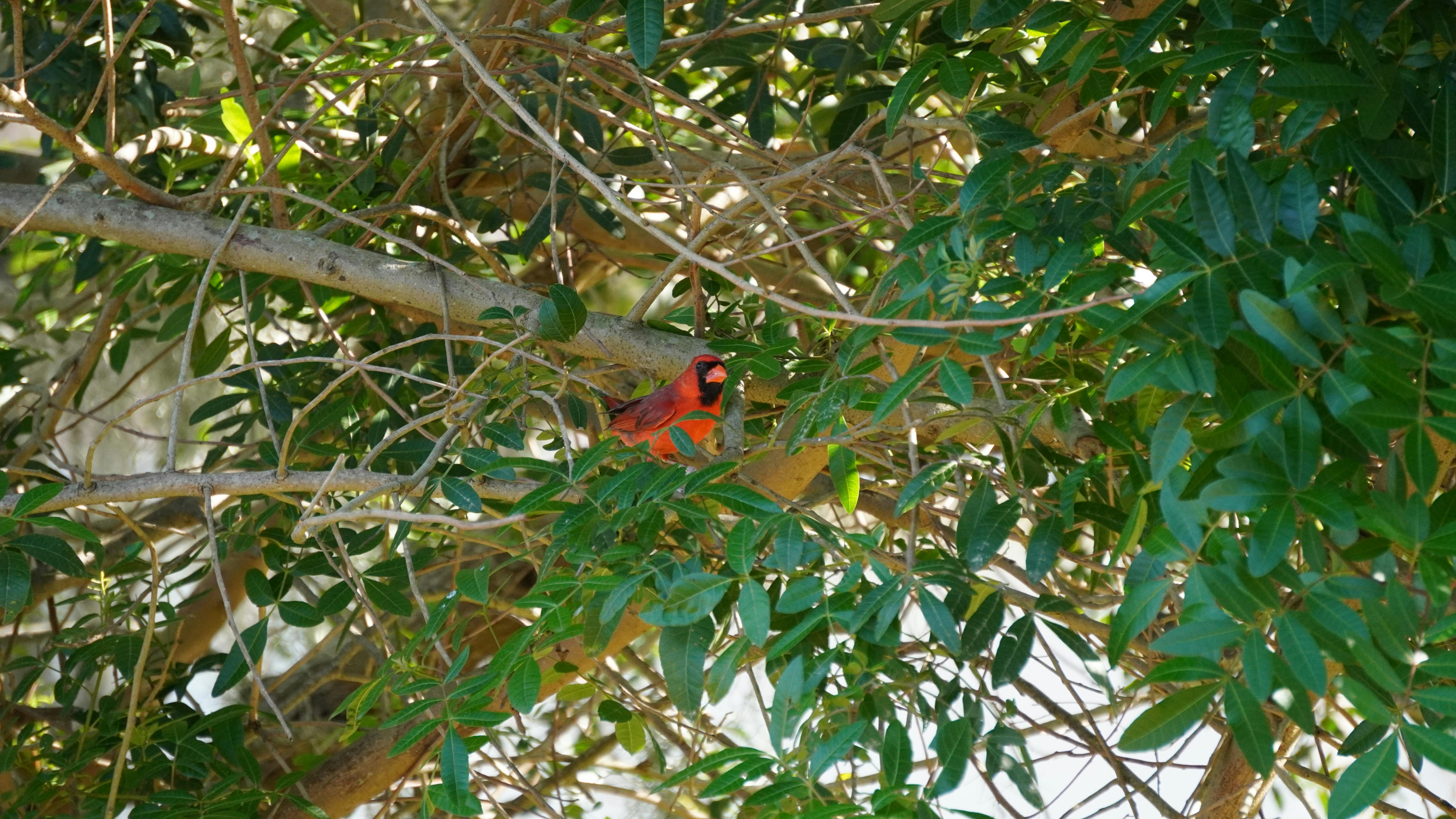 Joshua Wade - Photography