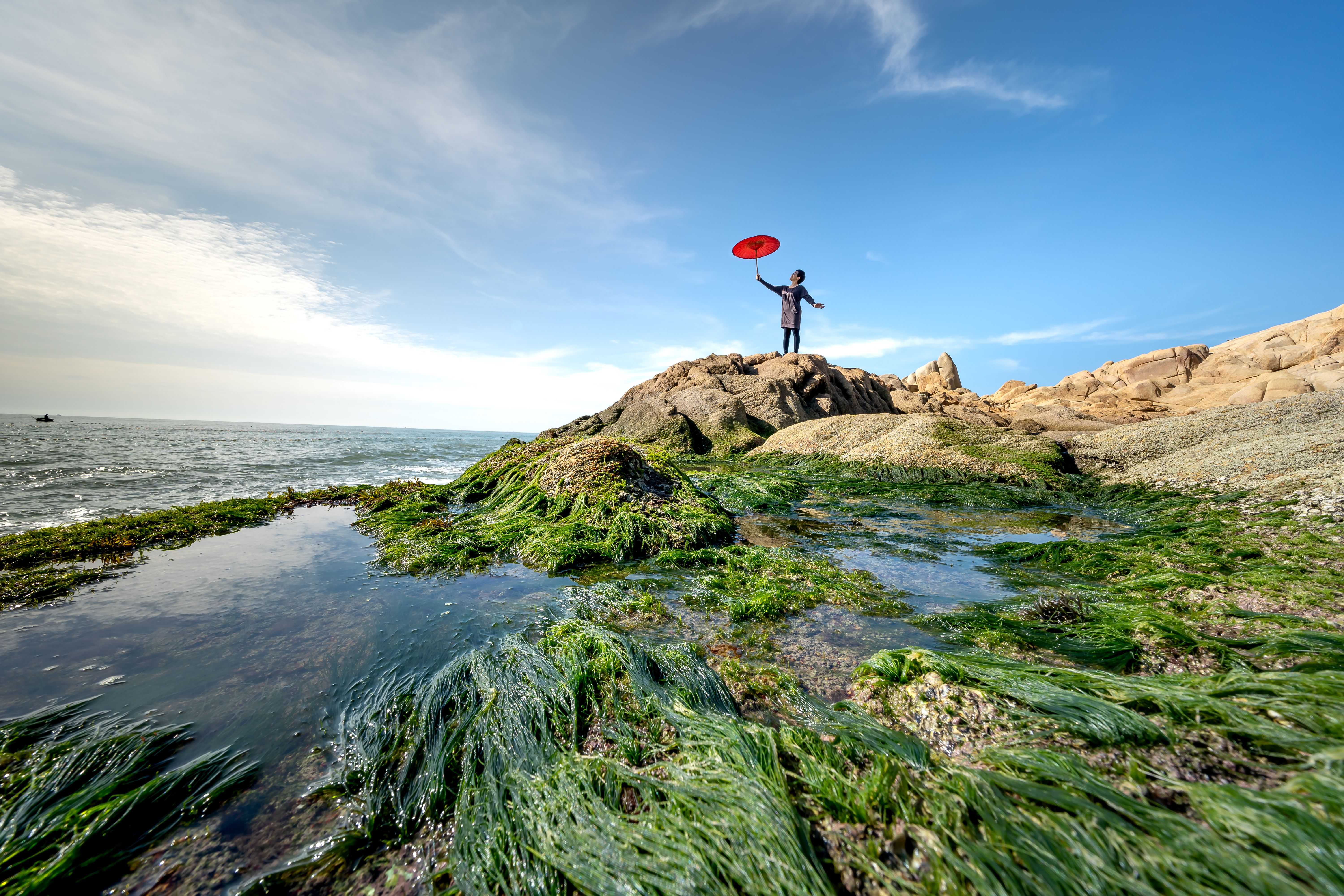 Person Posing on Sea Shore with Umbrella · Free Stock Photo