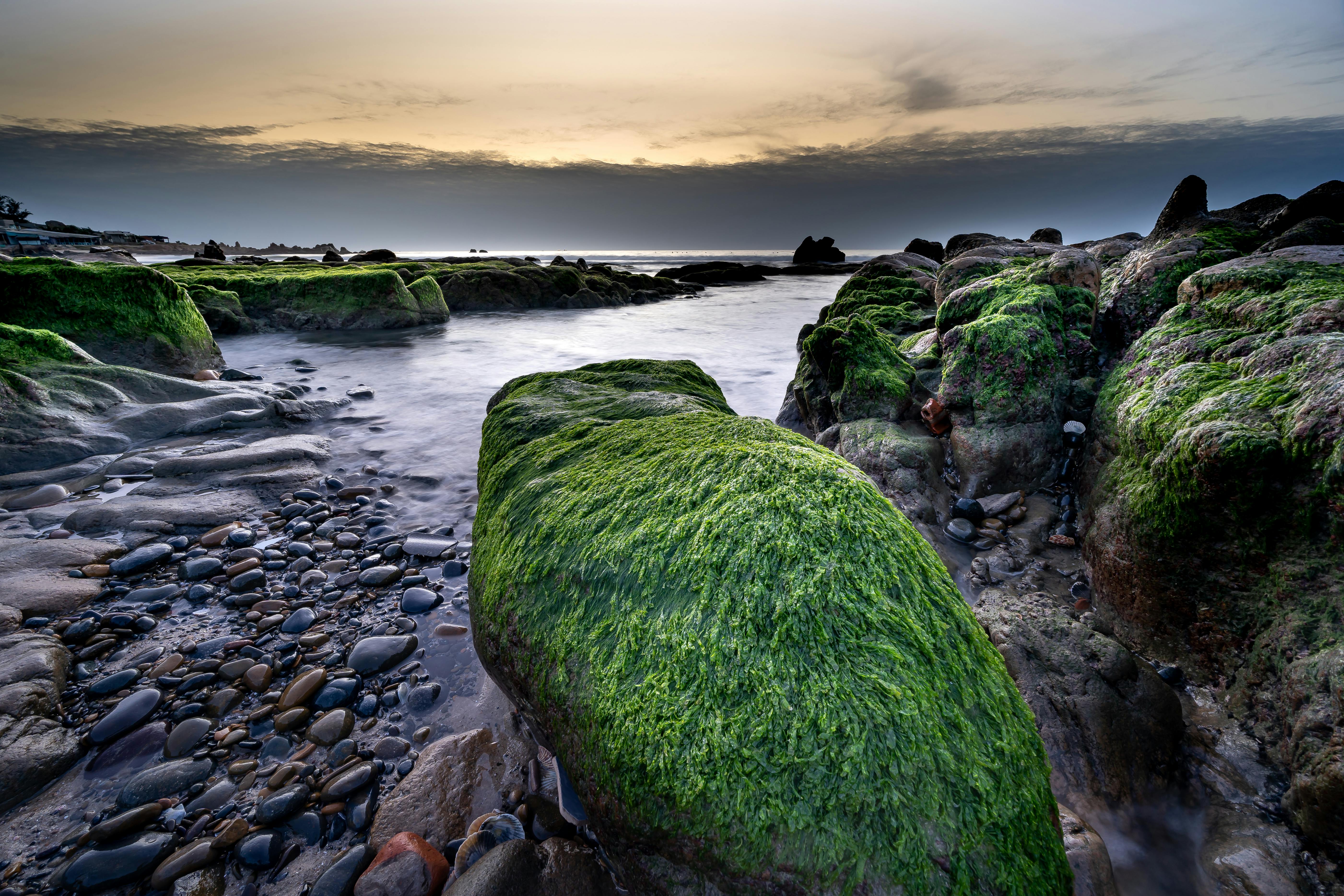 Co Thach Beach, Vietnam · Free Stock Photo