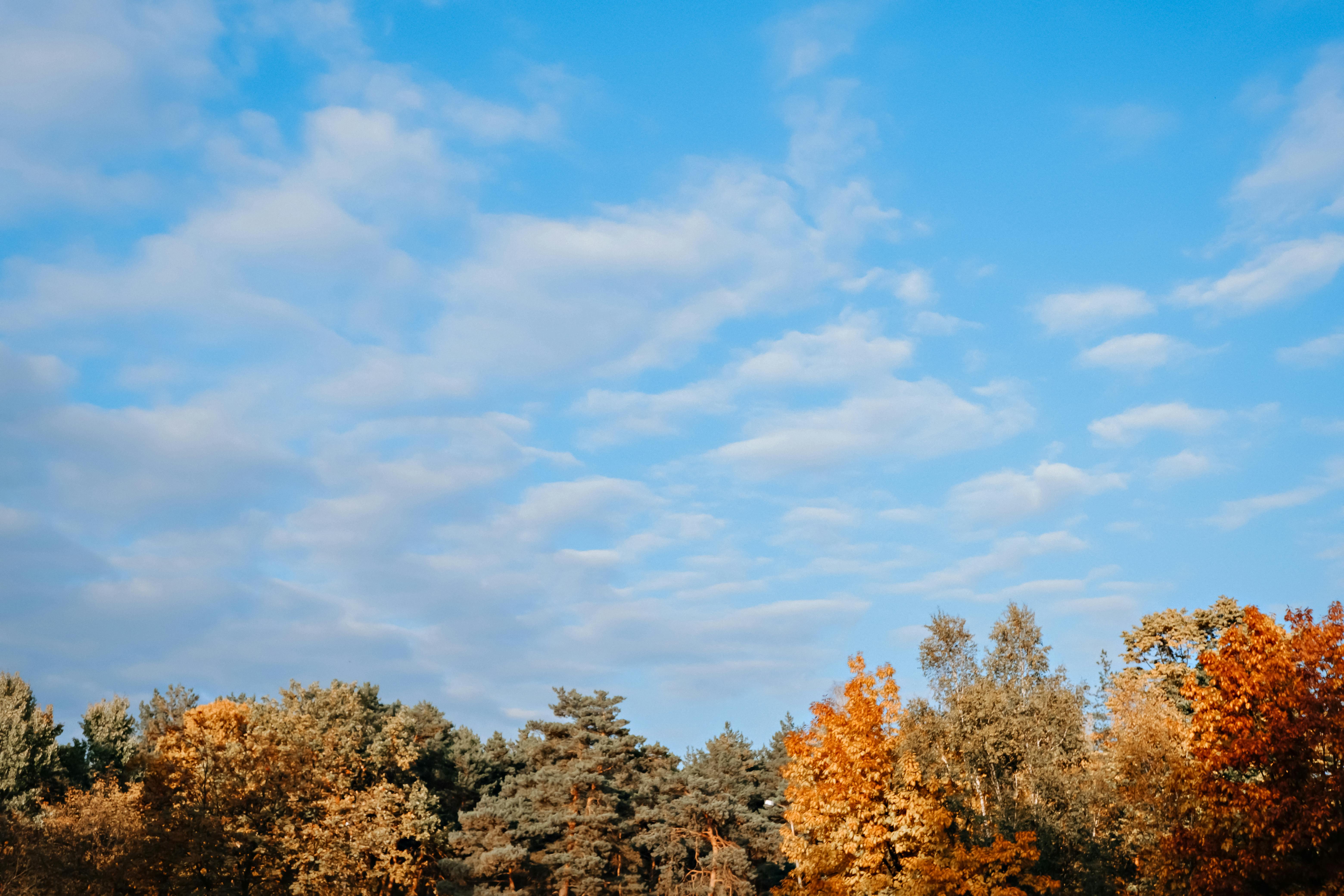 Extended Dynamic Range Photos, Download The BEST Free Extended Dynamic ...