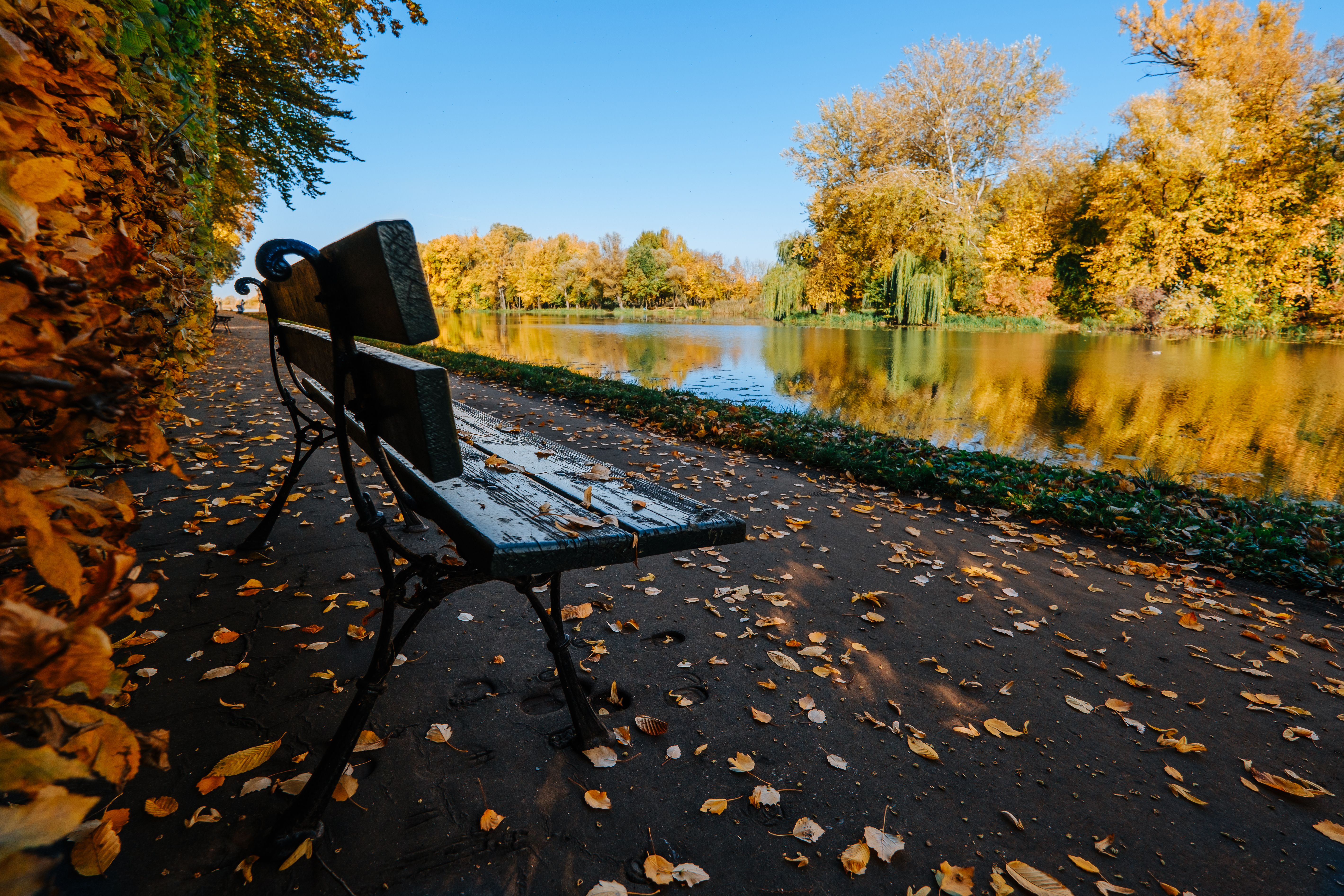 Empty Bench Beside the River · Free Stock Photo