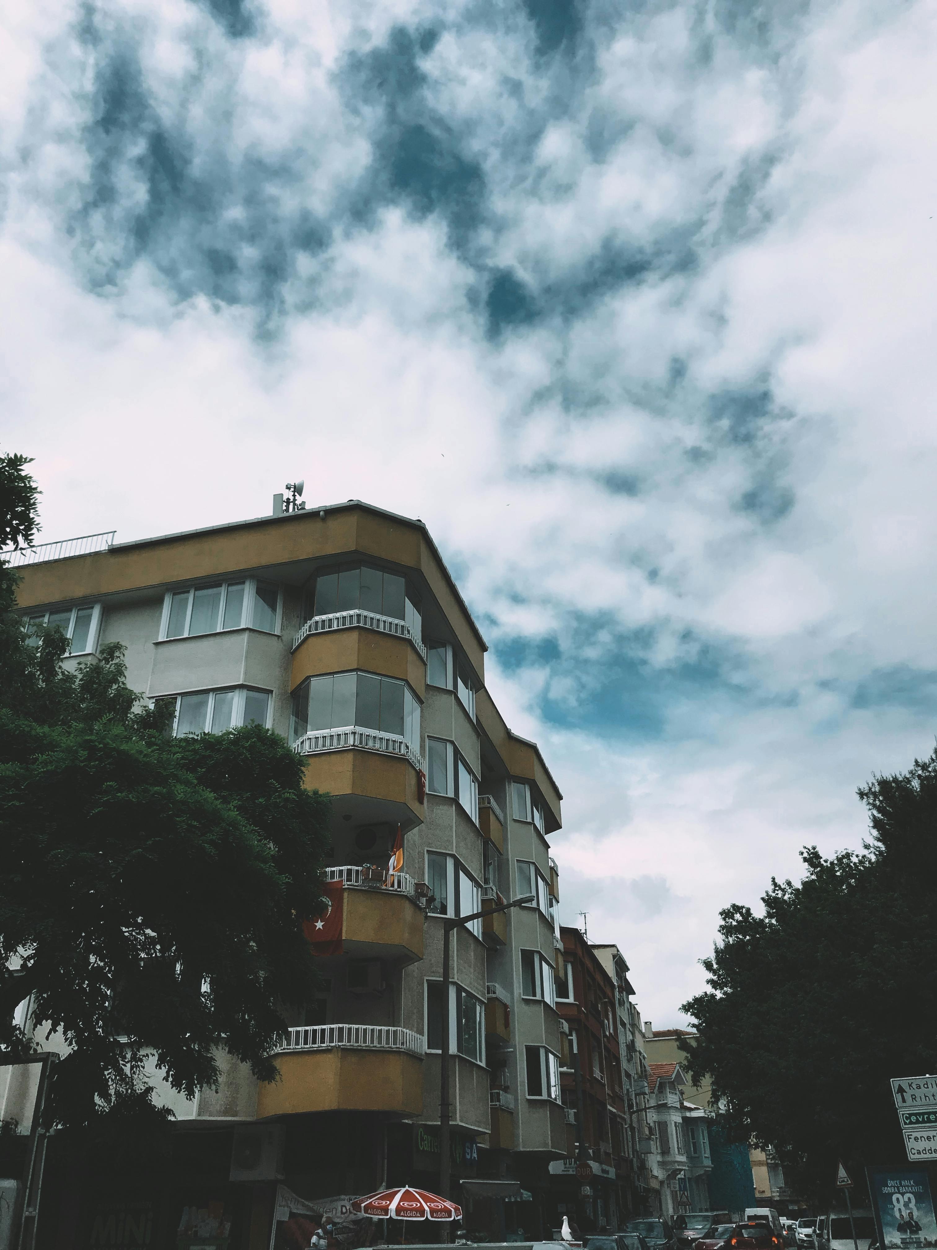 Photo of Trees Near Buildings · Free Stock Photo