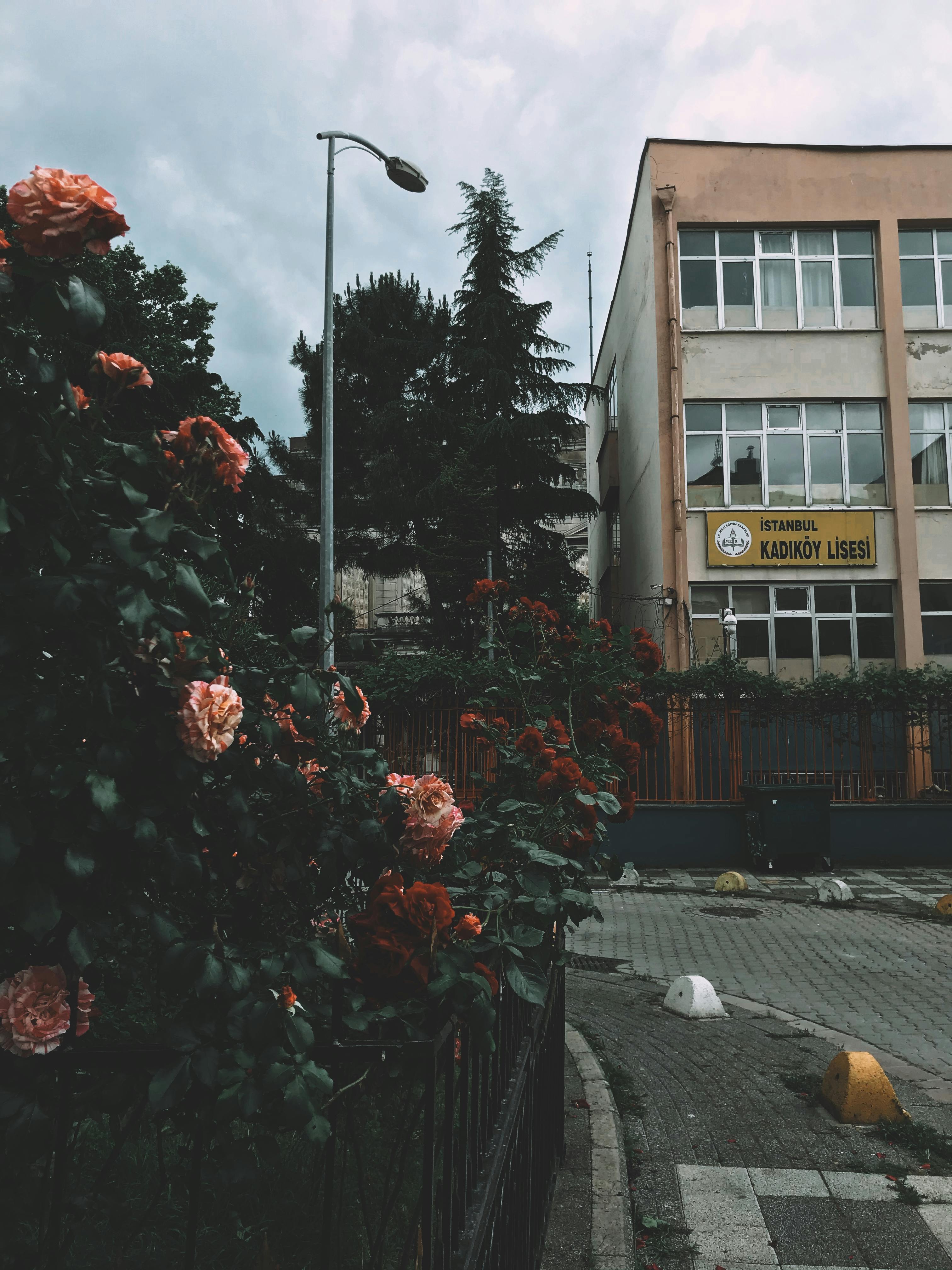 High School in Istanbul · Free Stock Photo