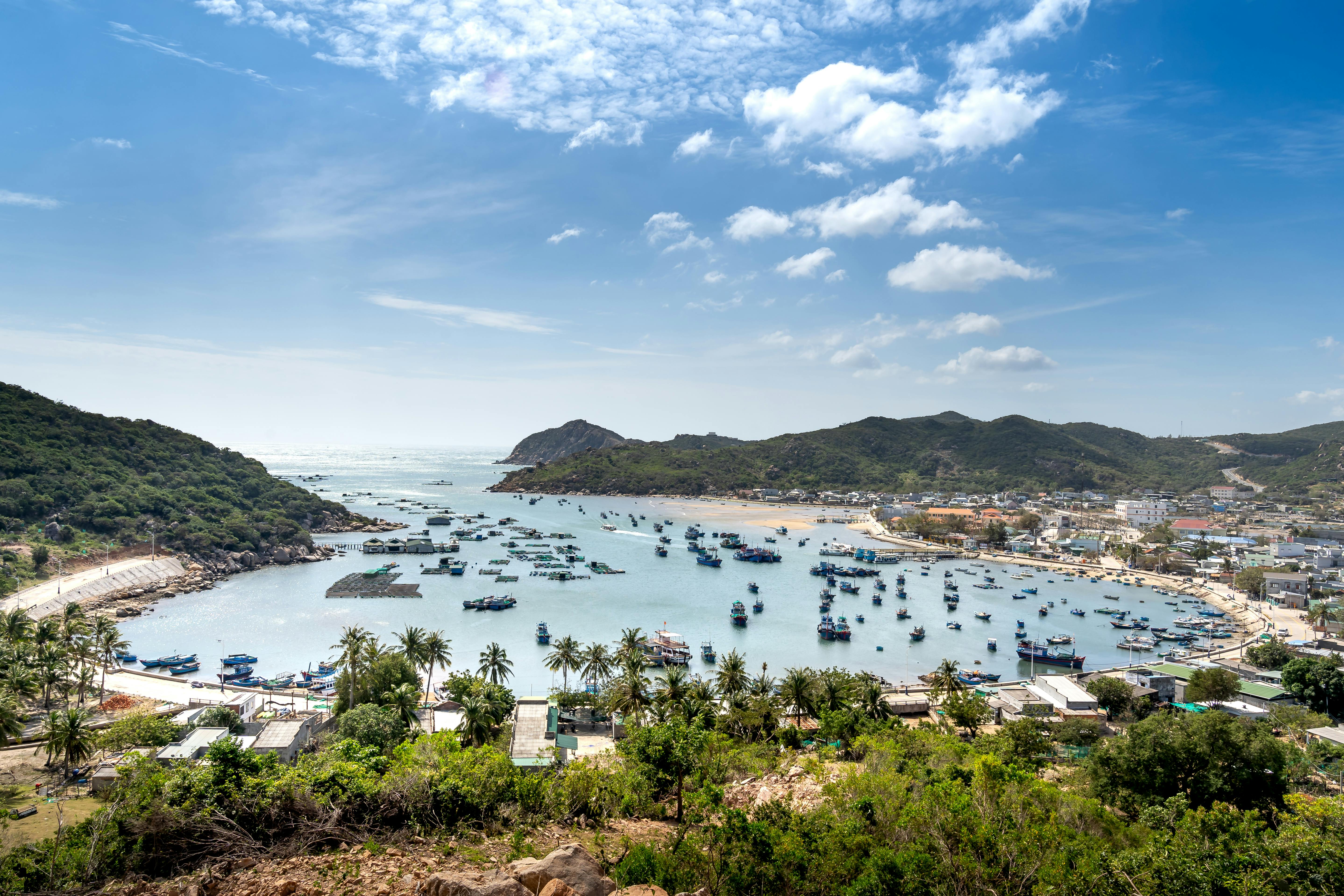 Boats in Round Bay · Free Stock Photo