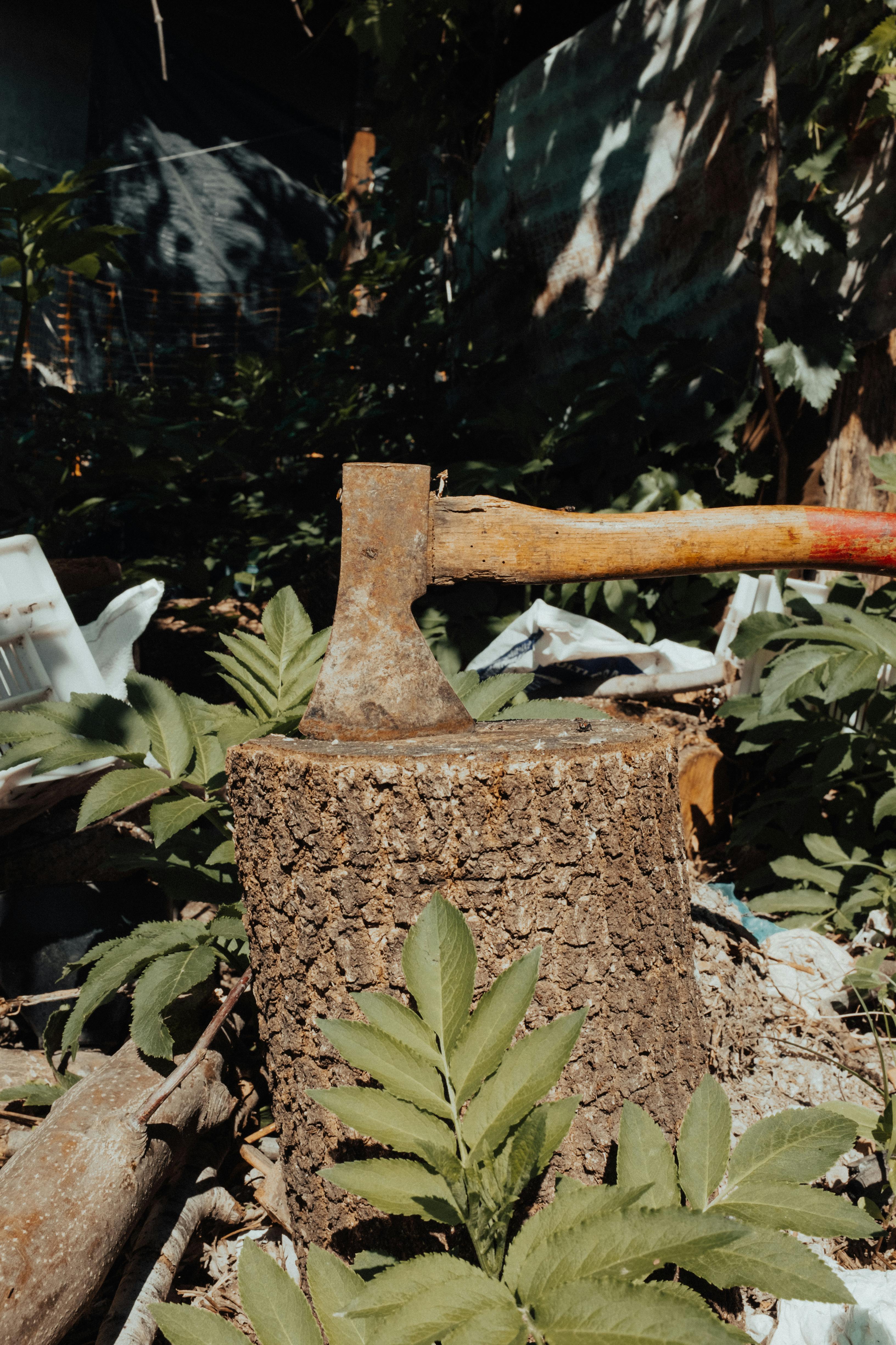 Photo of an Axe on a Tree Stump · Free Stock Photo