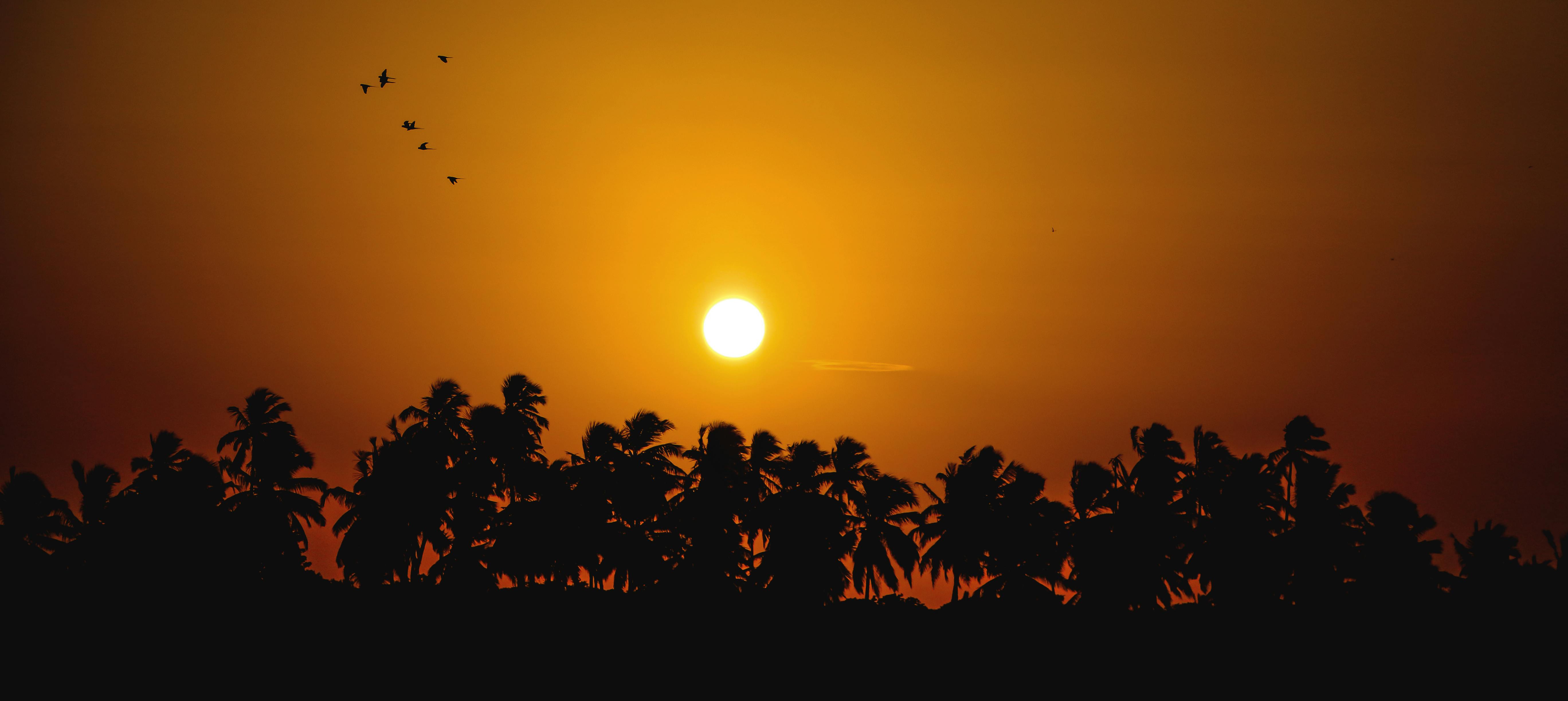 Tharindu Abeysinghe – Fotografia