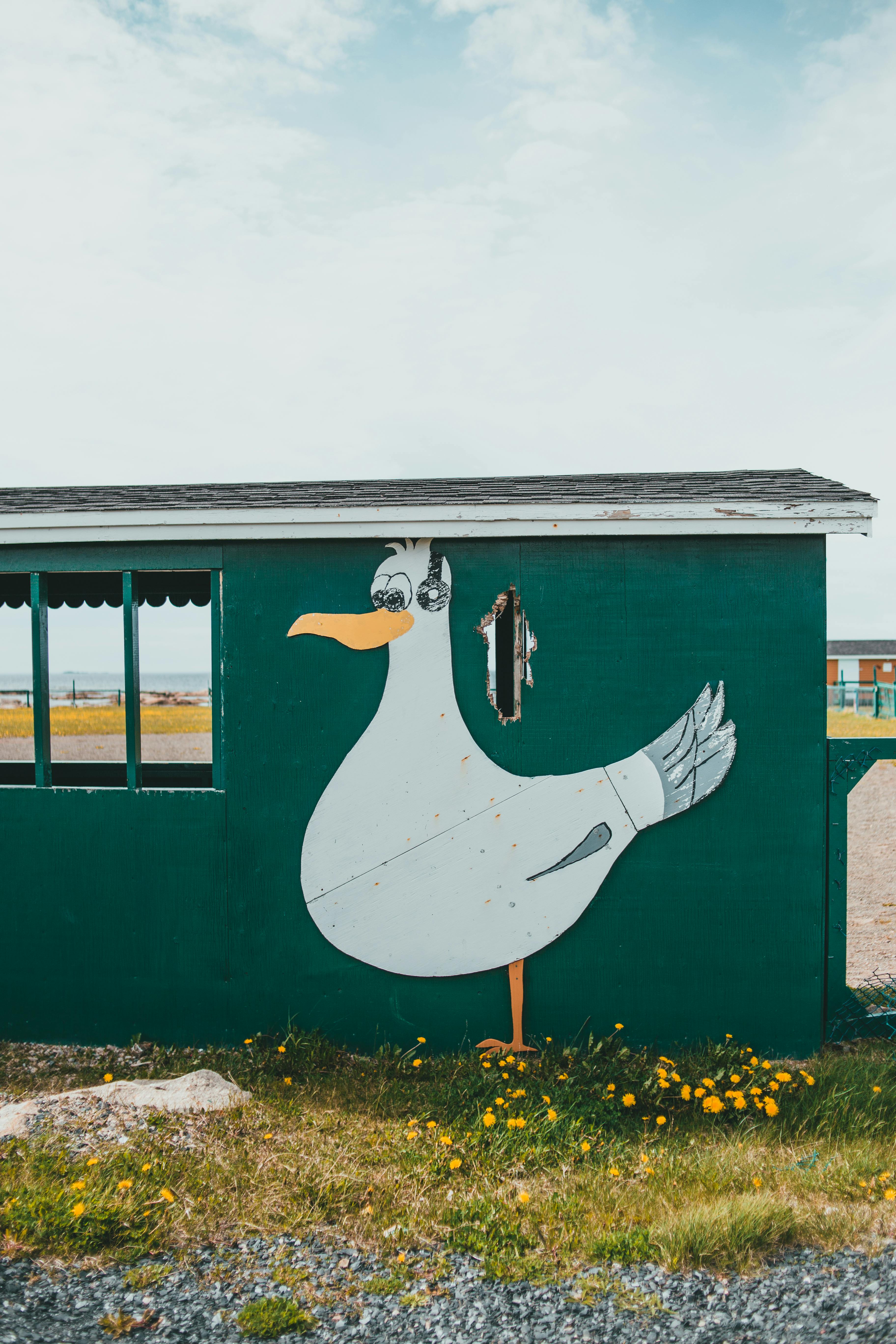 Seagull Painted on a Wall · Free Stock Photo