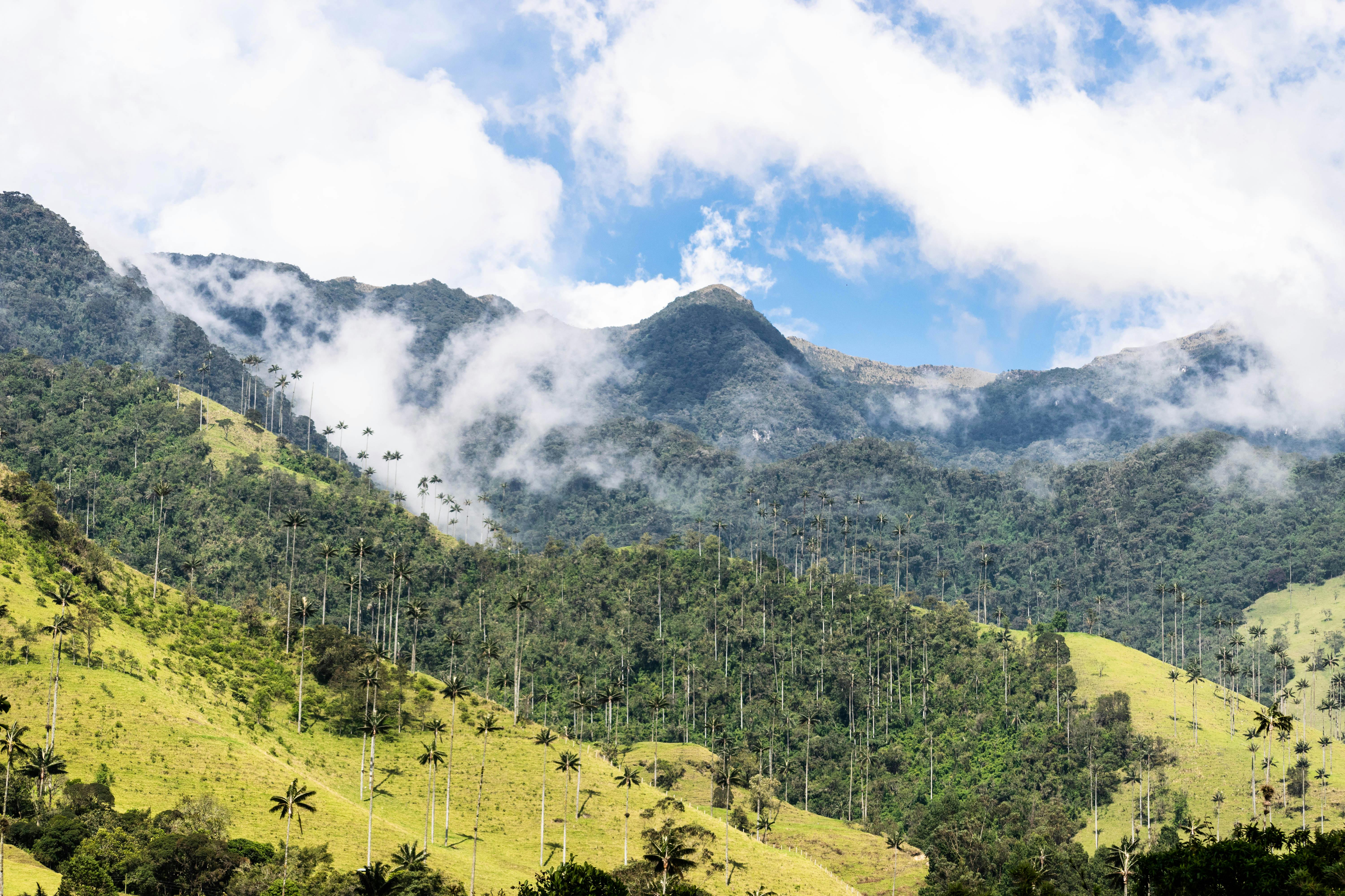 Green Grass Field over Horizon · Free Stock Photo