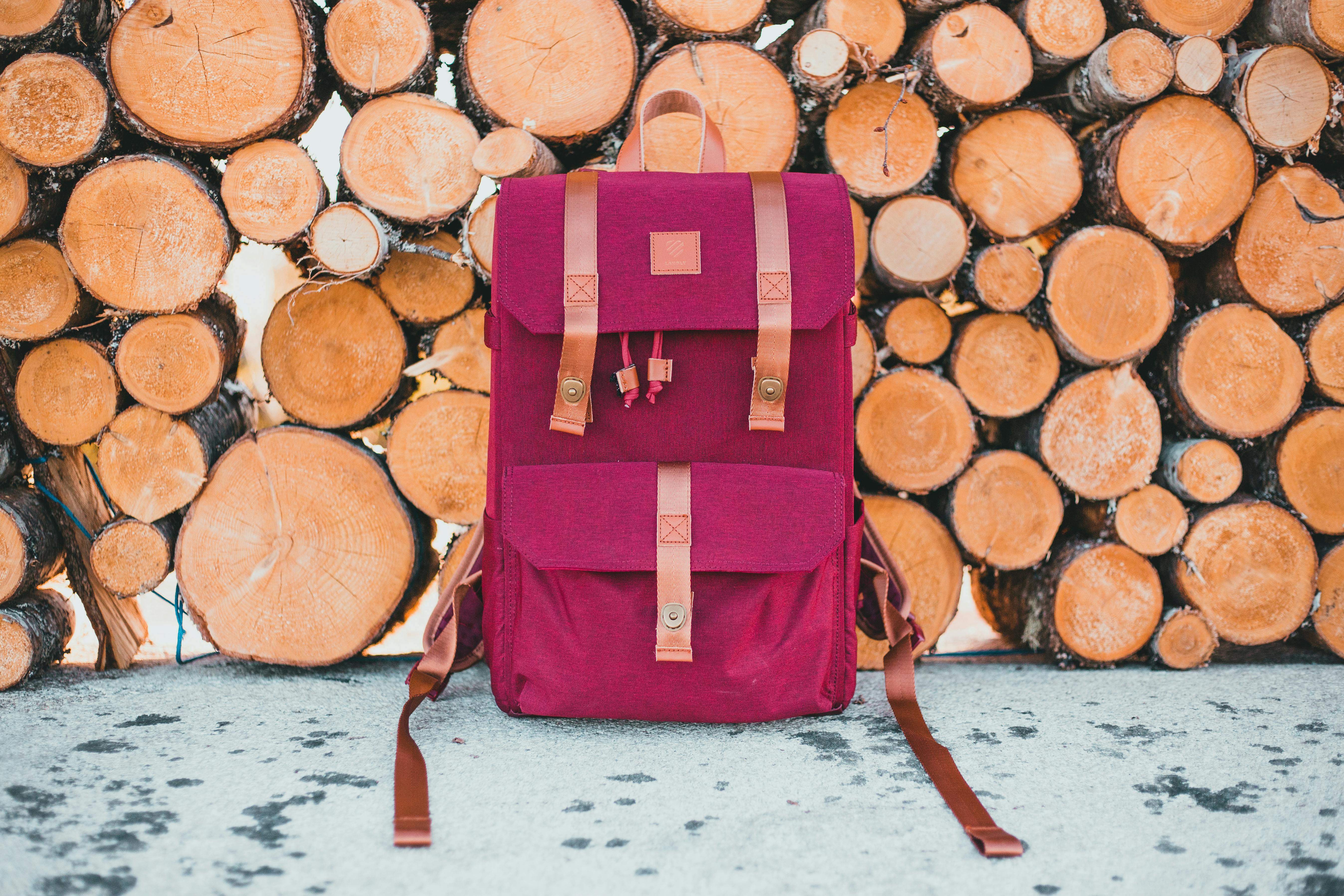 Red Backpack Against a Pile of Chopped Wood · Free Stock Photo