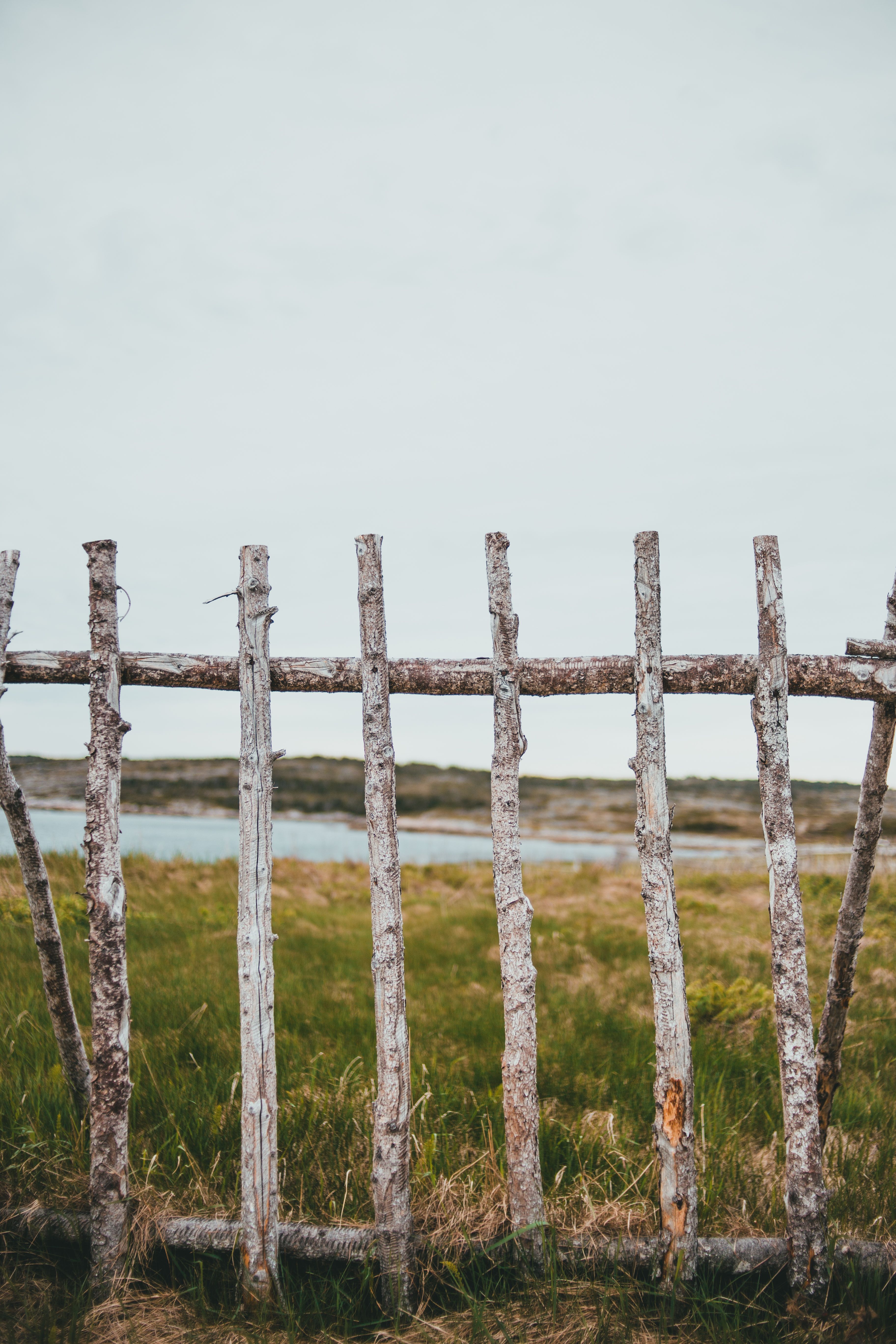 Wooden Fence on Grass · Free Stock Photo