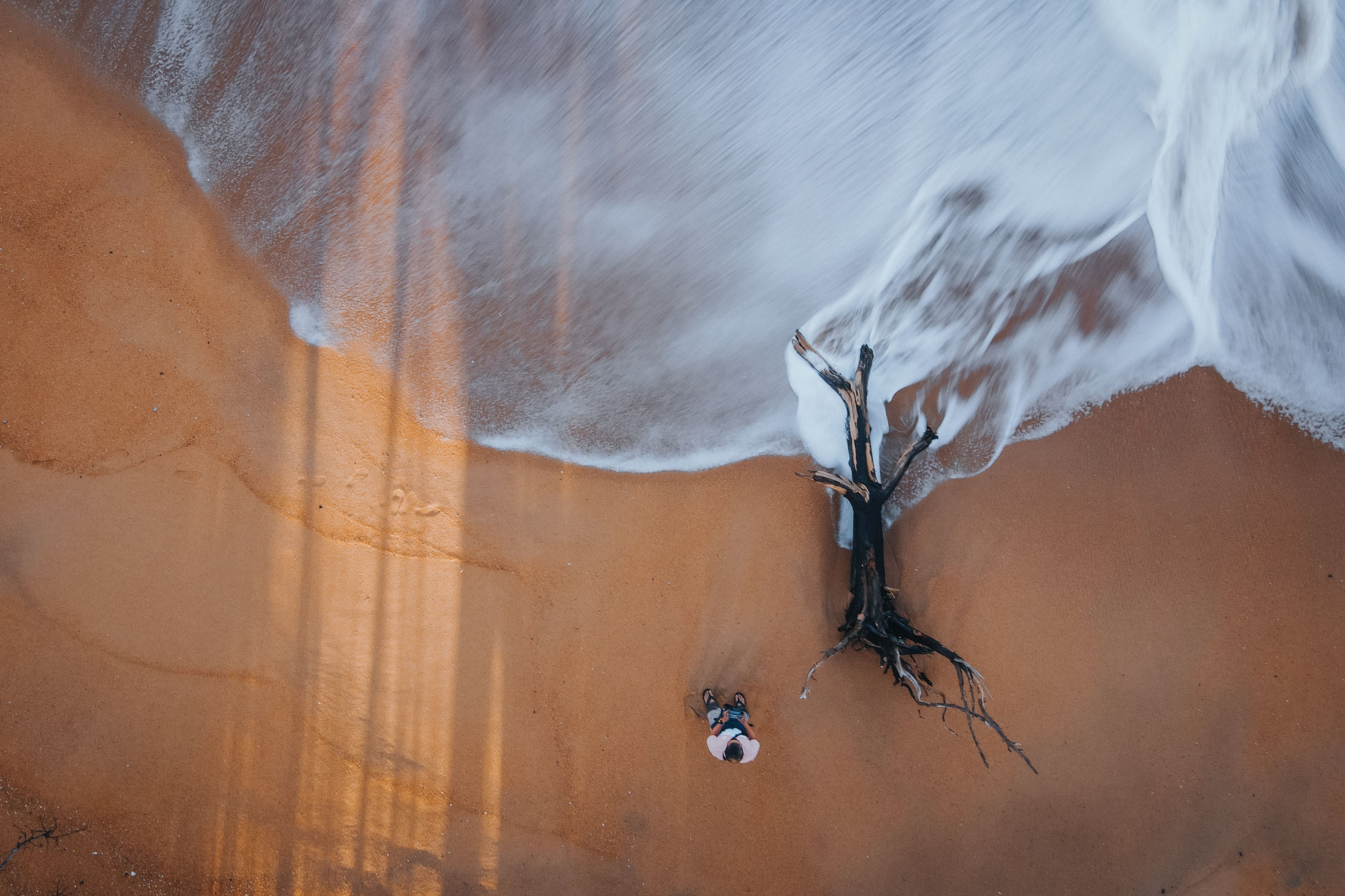 Top View of a Man near a Washed Up Tree on the Seashore · Free Stock Photo