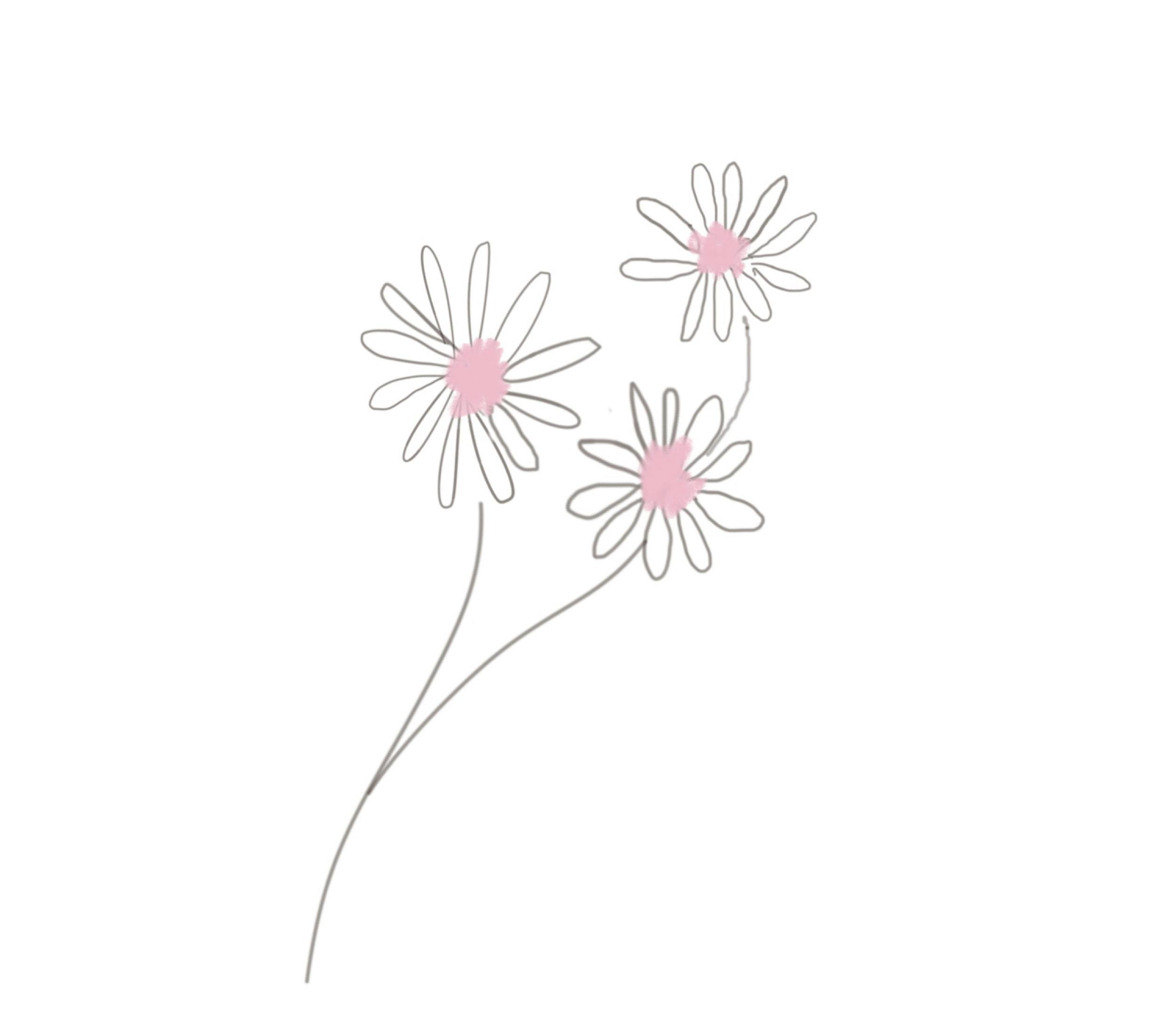 Rakhee Verma - Photography