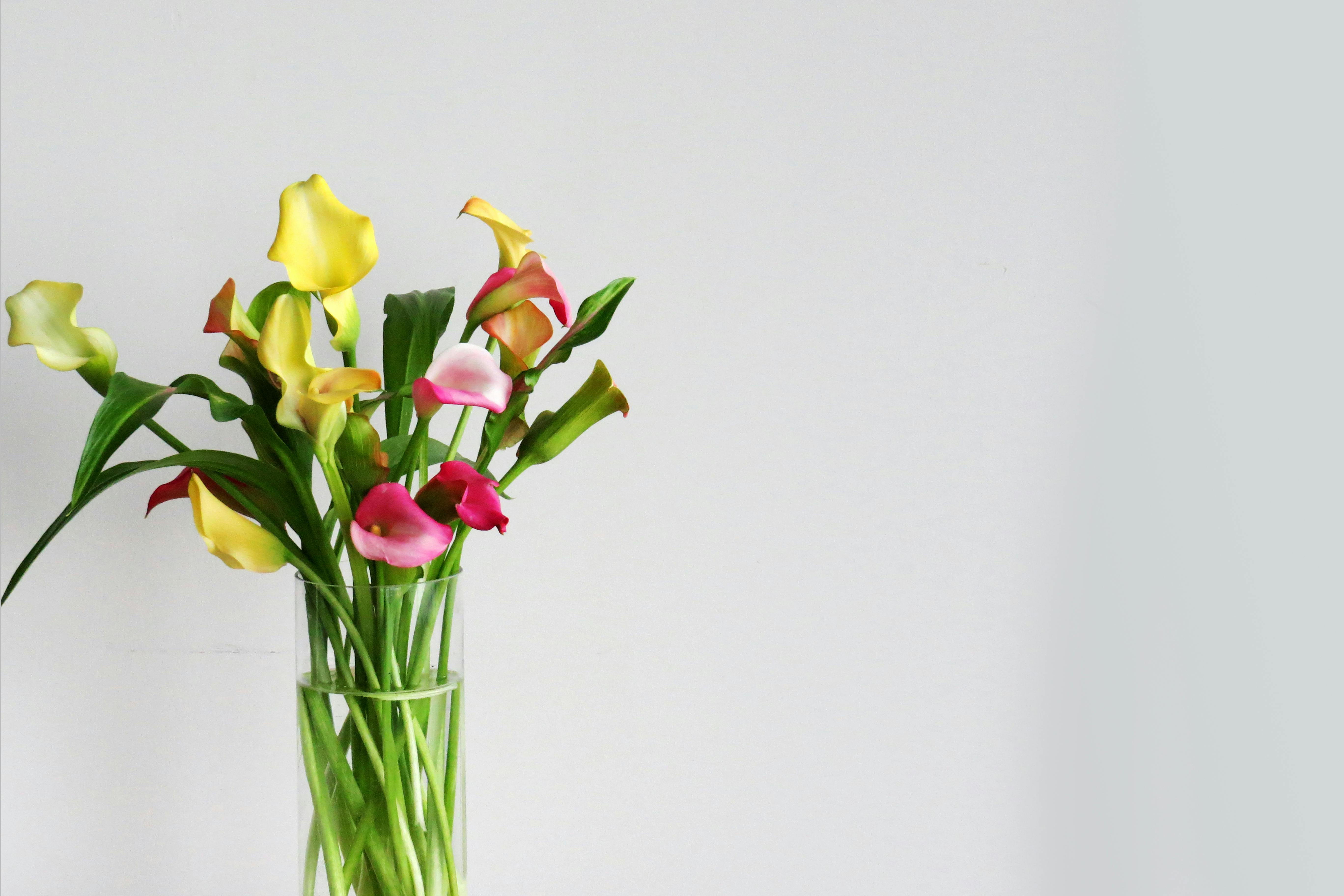Close-Up Shot of Flowers in a Glass Vase · Free Stock Photo