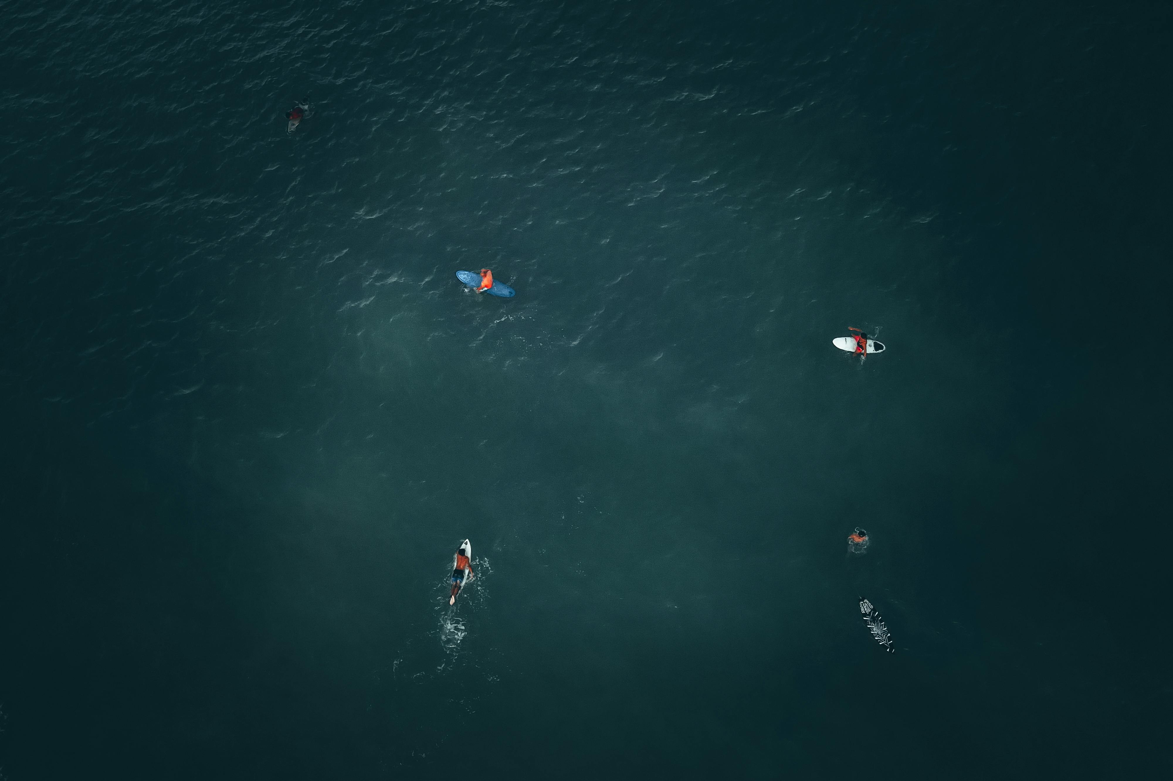 Aerial View of People Surfing on Sea · Free Stock Photo