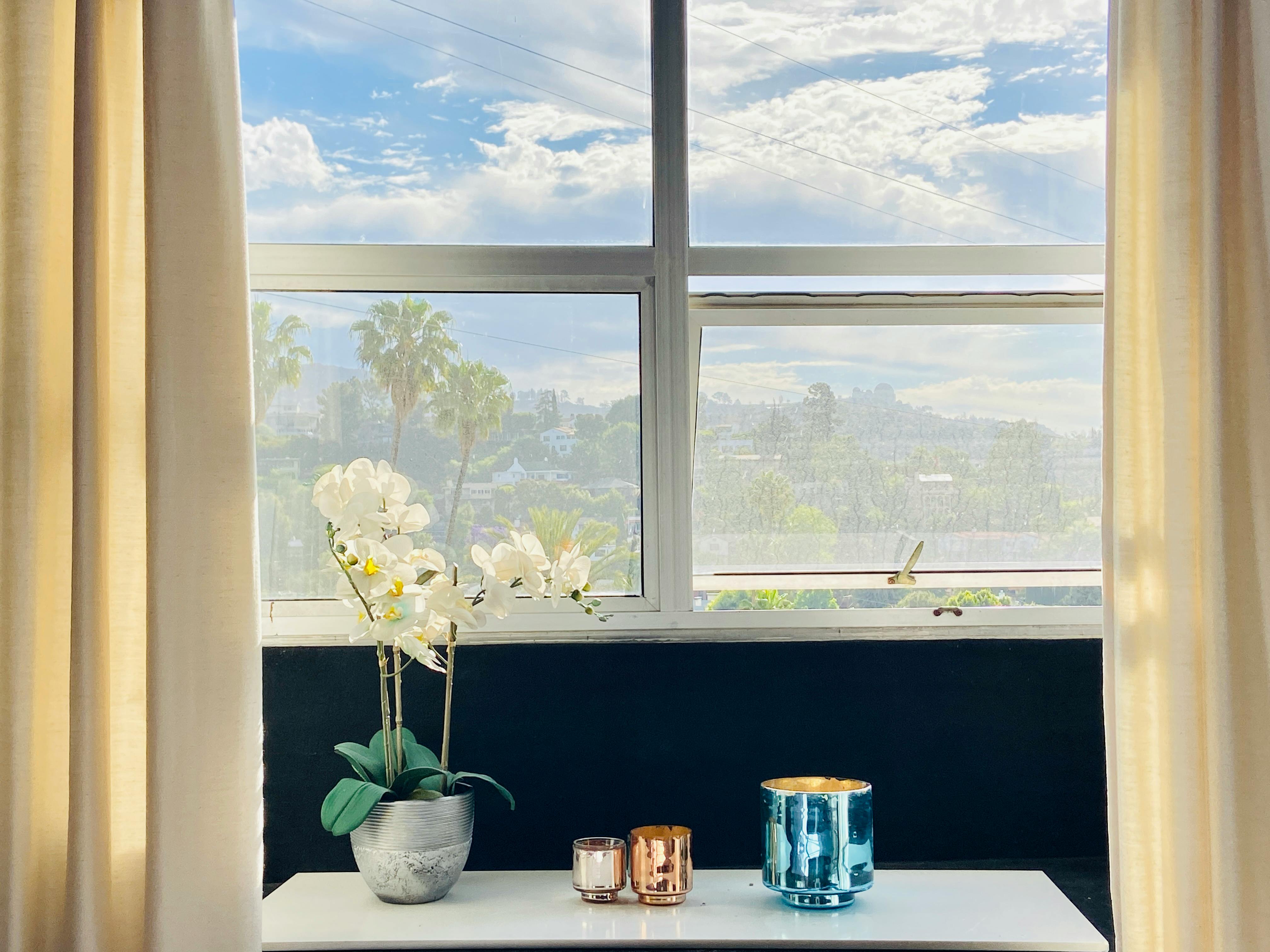 Windows 11 Flower Wallpaper Photos, Download The BEST Free Windows 11 ...