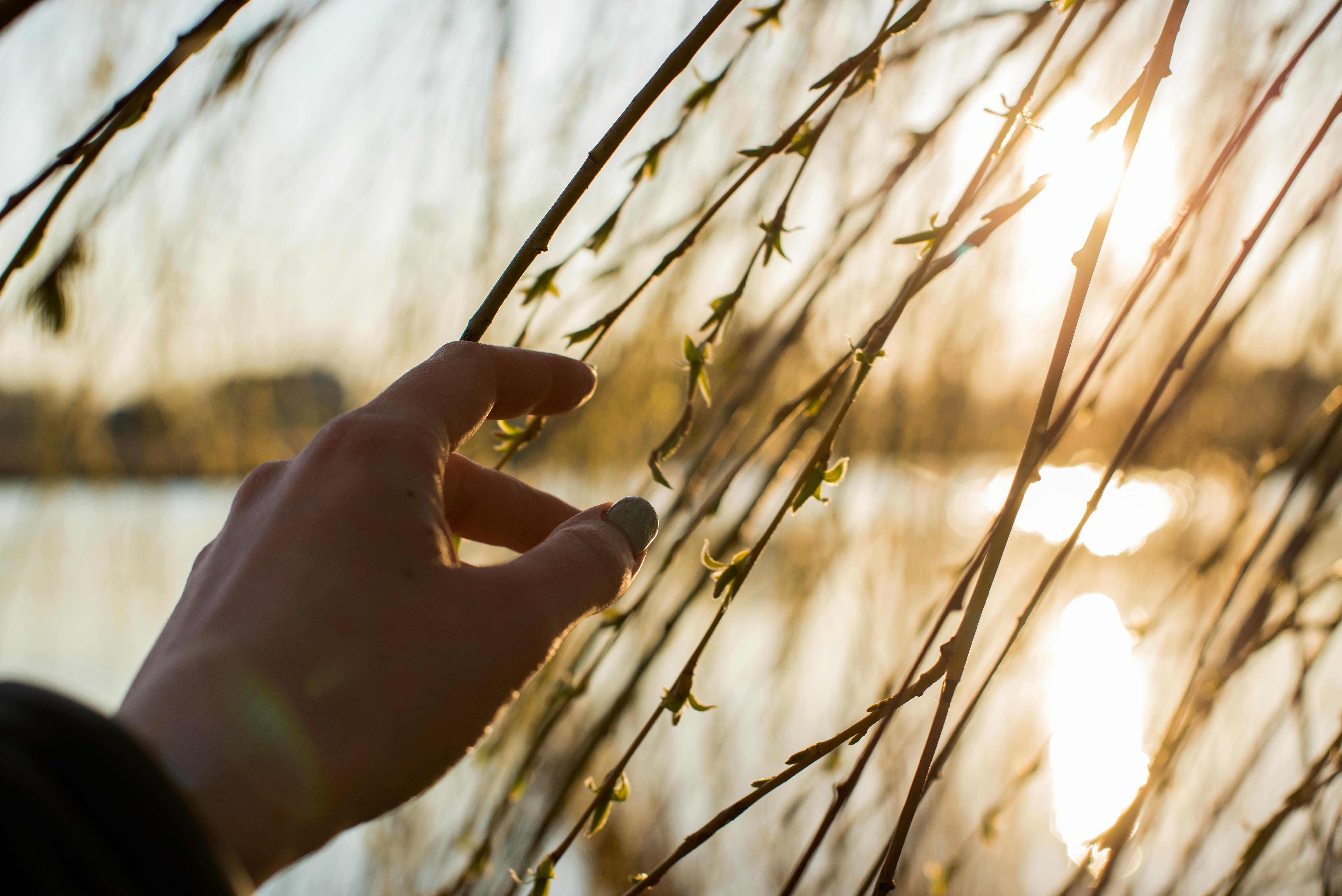 Close-Up Photo of a Person's Hand Touching Body of Water · Free Stock Photo
