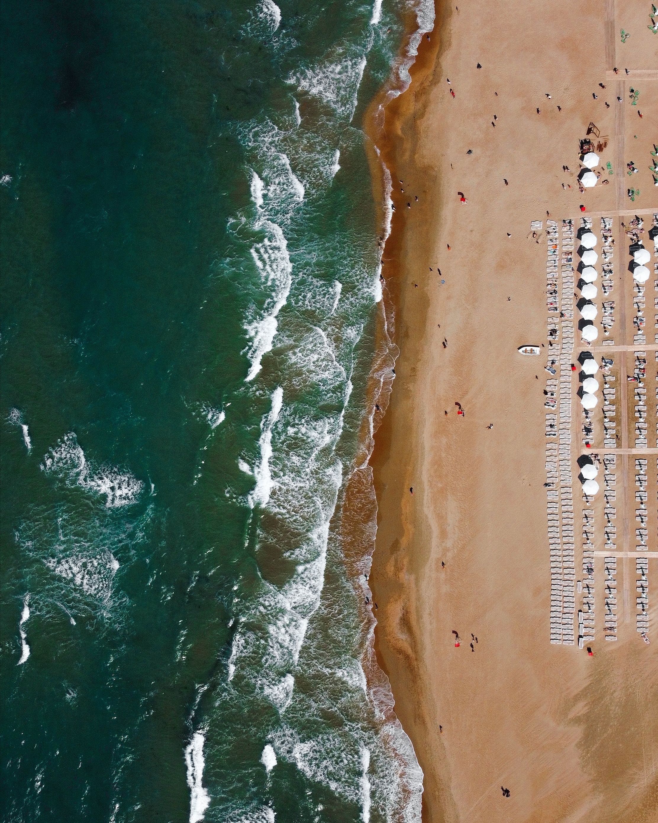 Aerial Photography of People on the Beach · Free Stock Photo