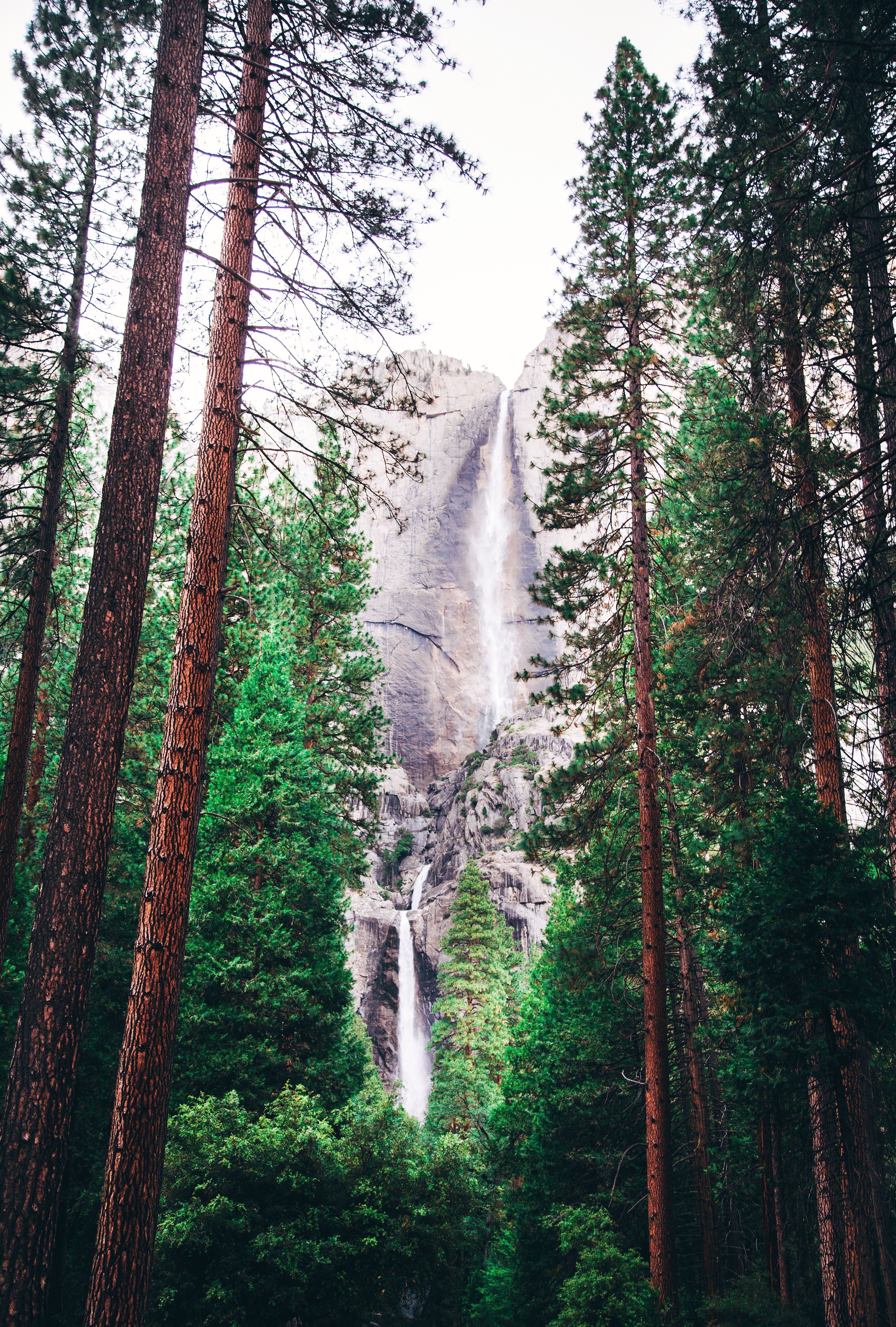 Landscape Photography of Waterfall · Free Stock Photo