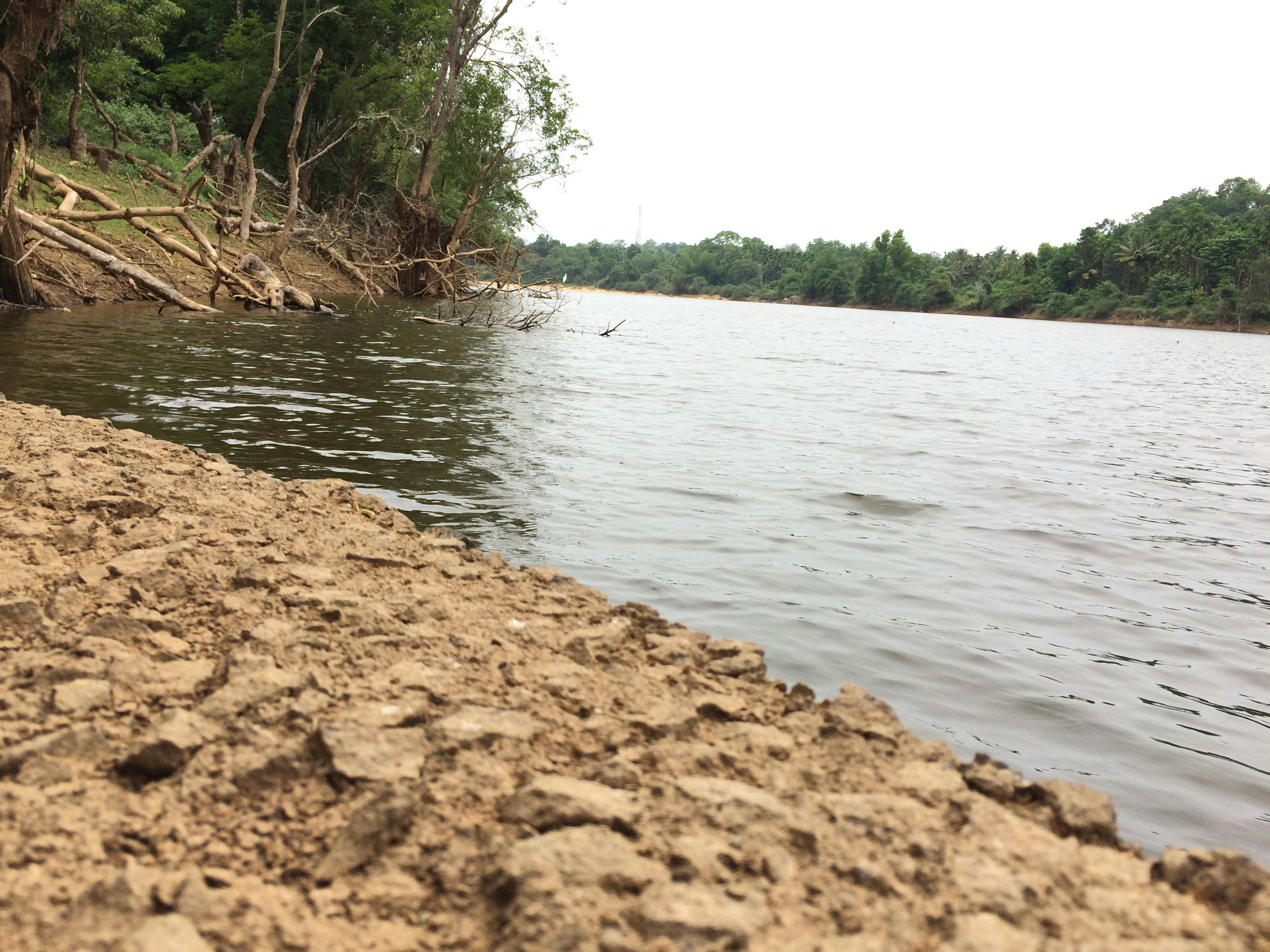 Kallesh - Photography