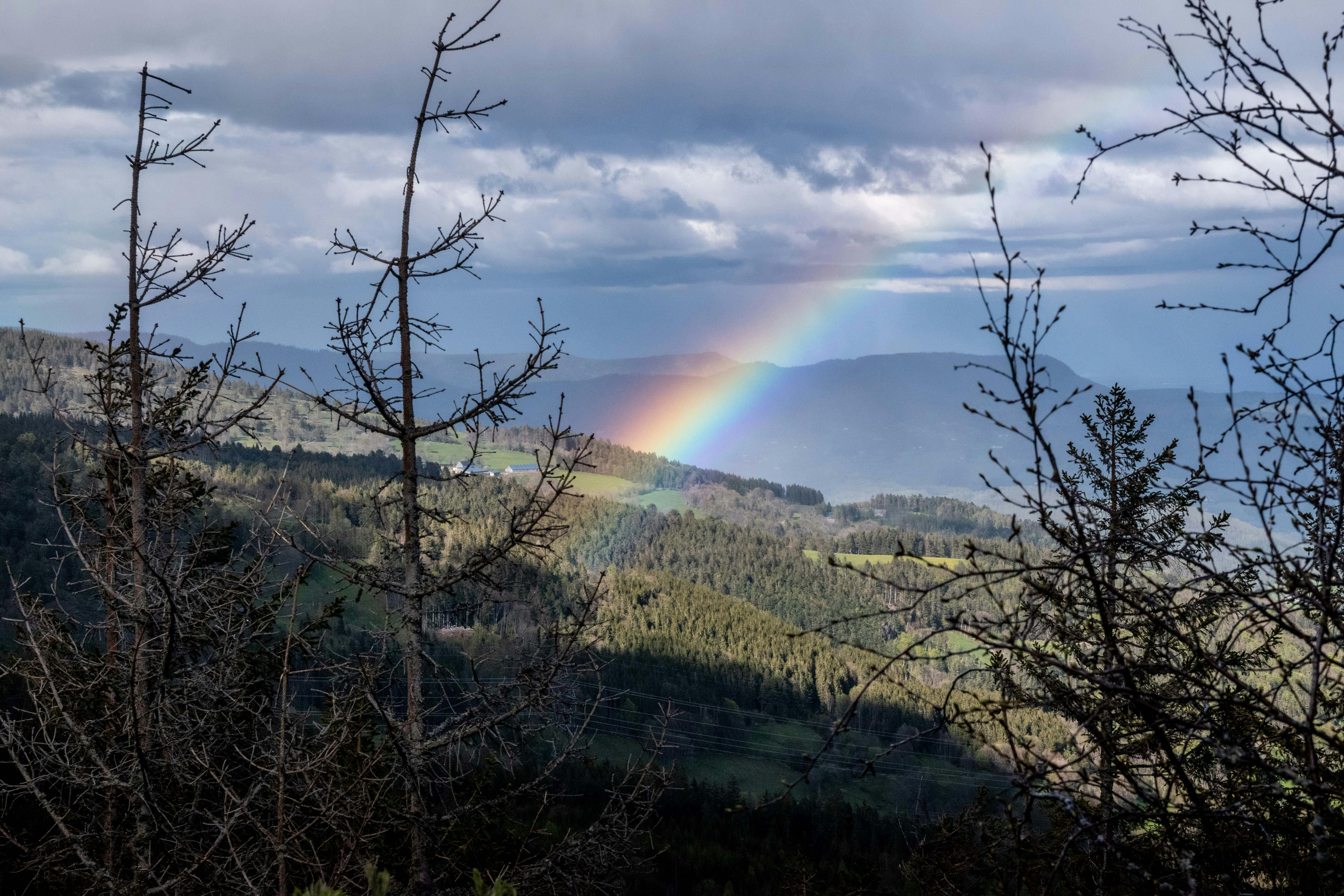 A Rainbow over a Landscape · Free Stock Photo