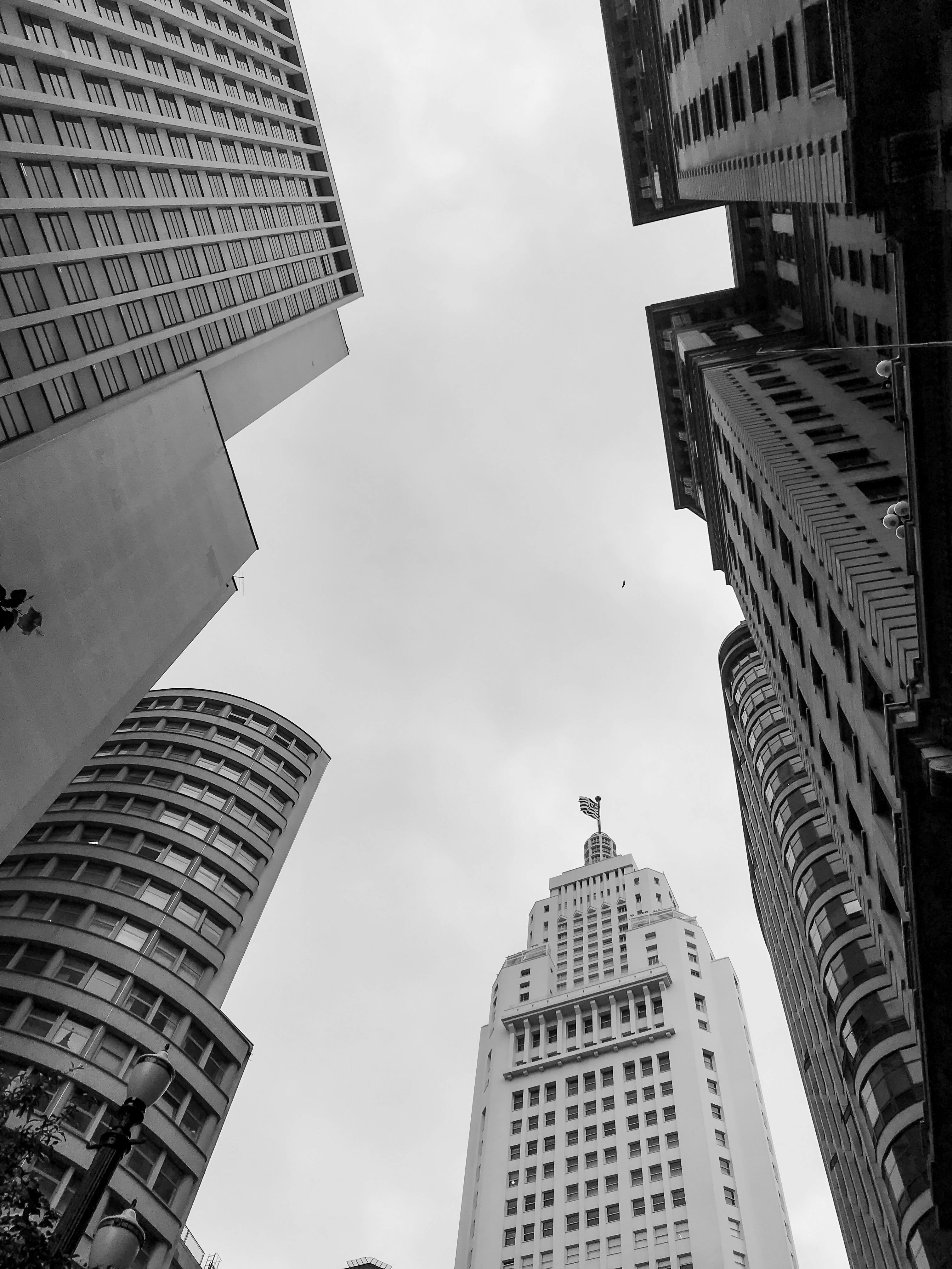 Person Looking At Building · Free Stock Photo