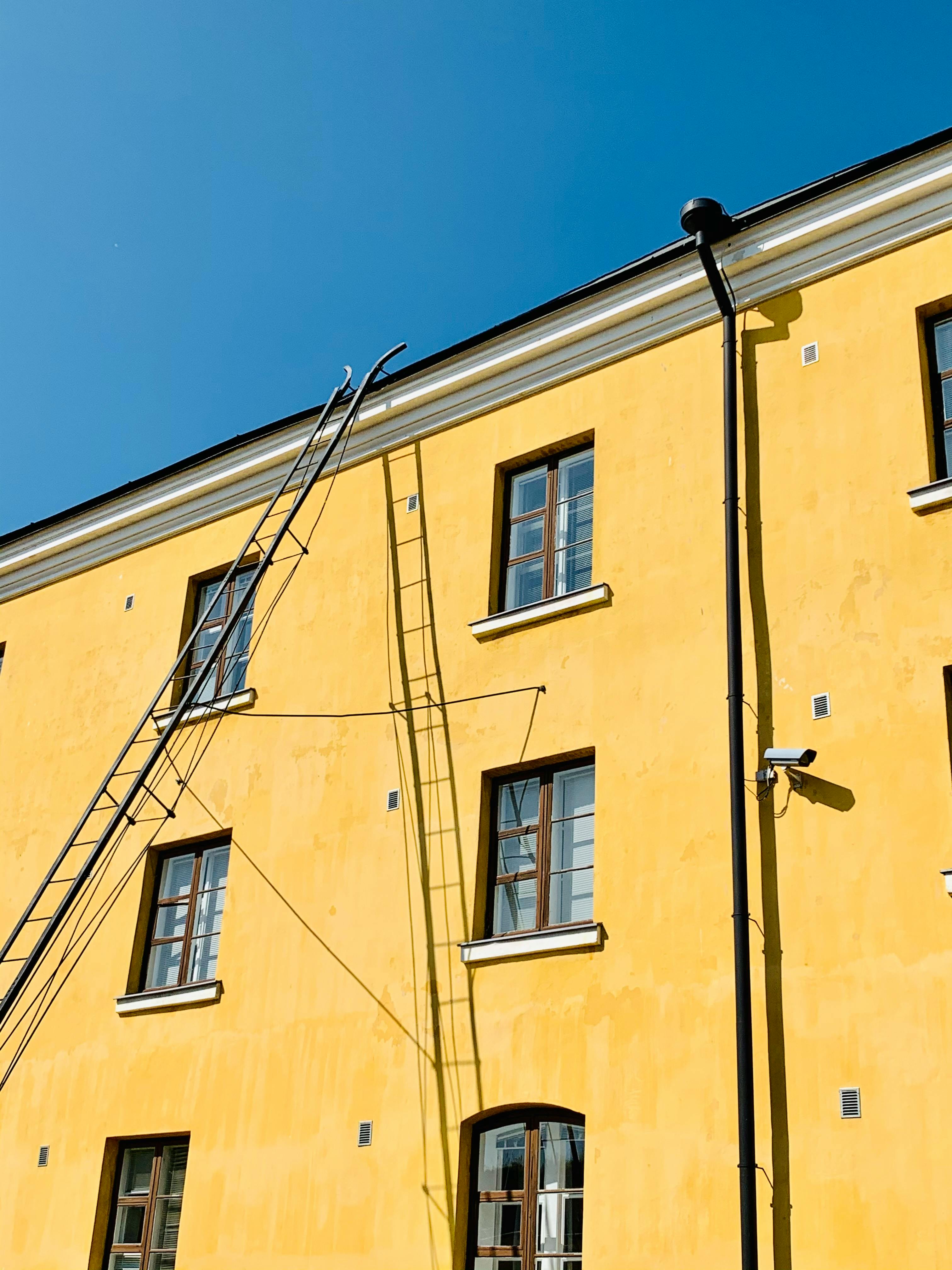 Yellow Ladder Photos, Download The BEST Free Yellow Ladder Stock Photos ...