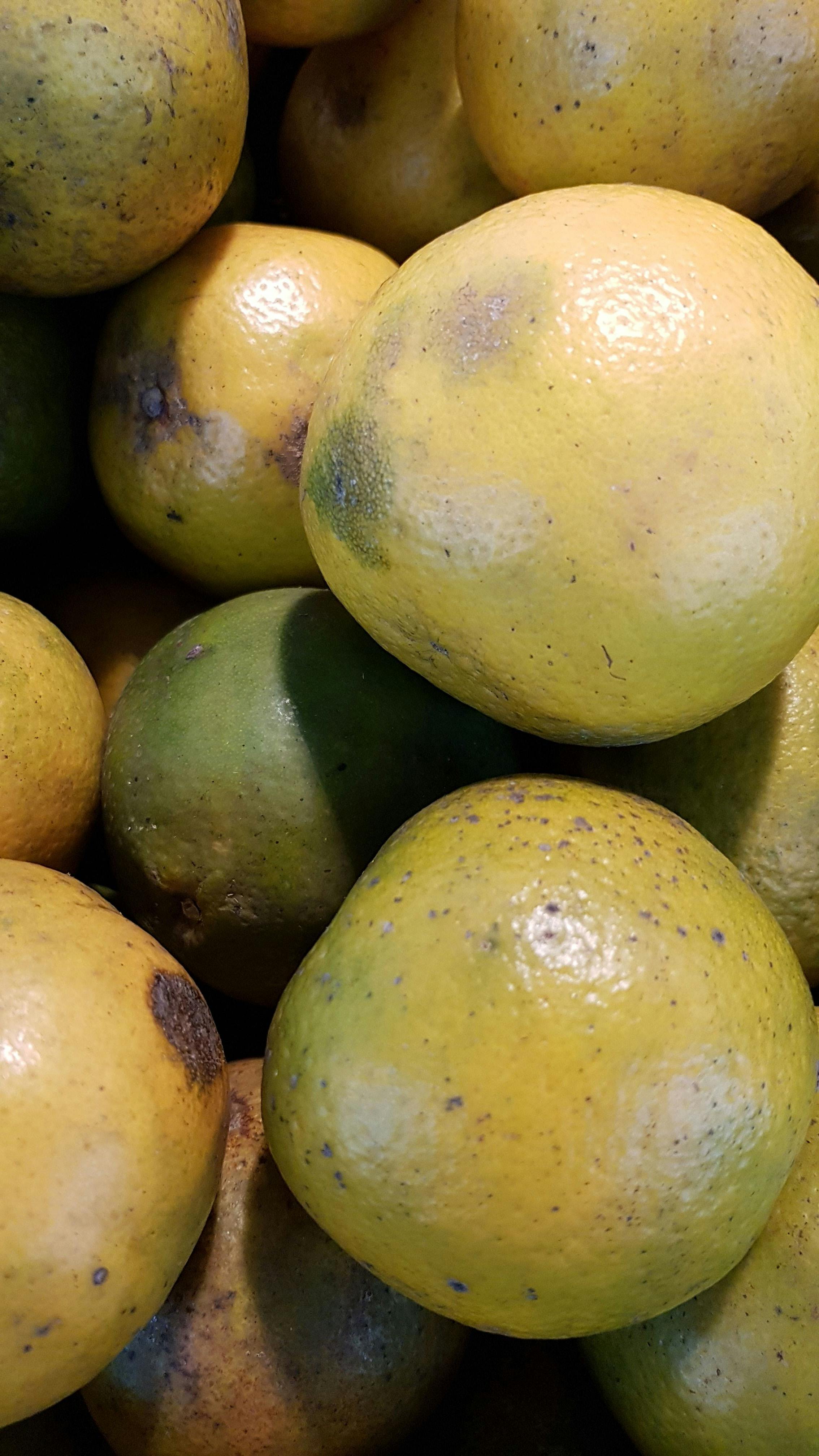 michael lim - Photography