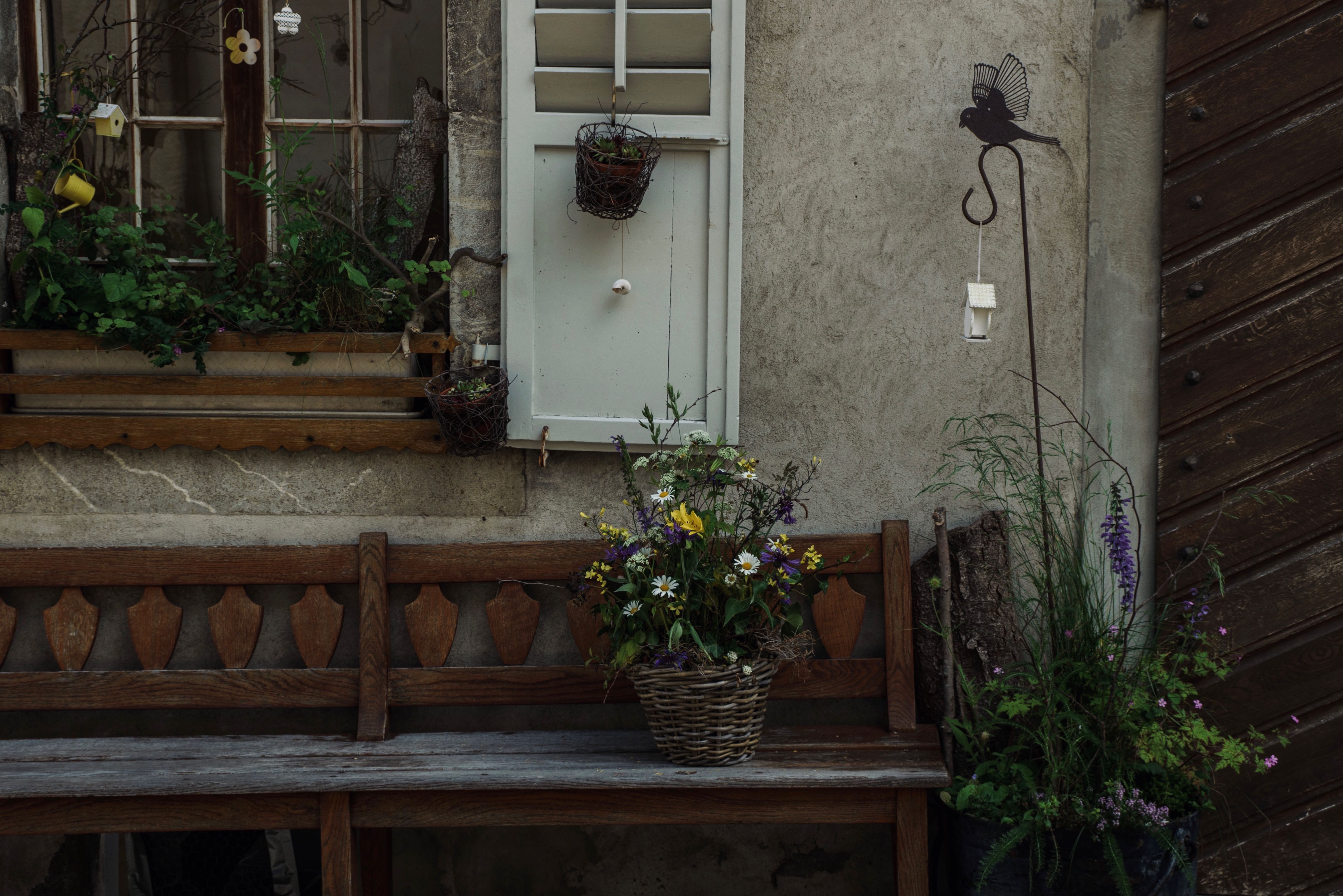 Assorted Plants Outside a House · Free Stock Photo