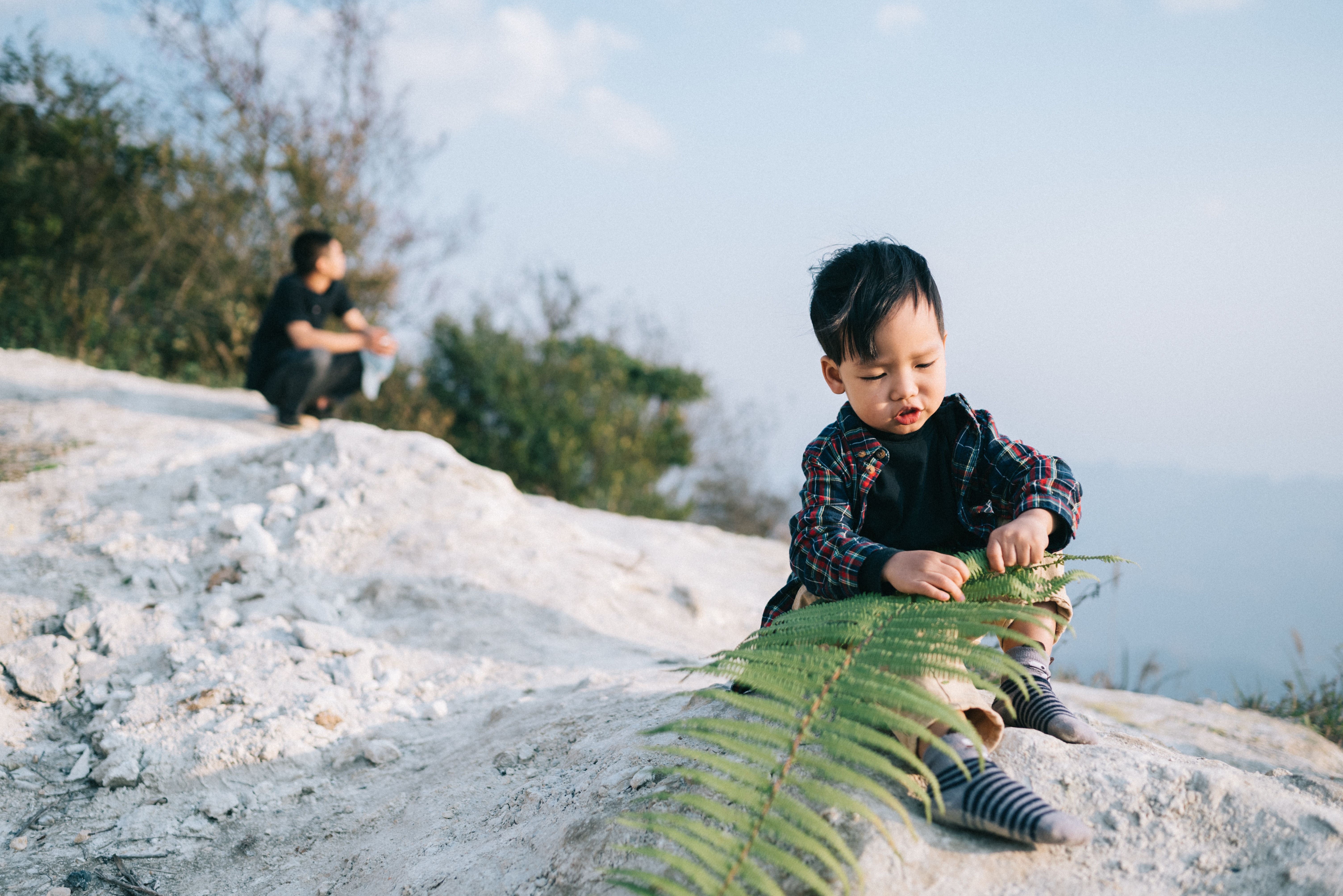 Young Boys Planting a Tree on Brown Soil · Free Stock Photo
