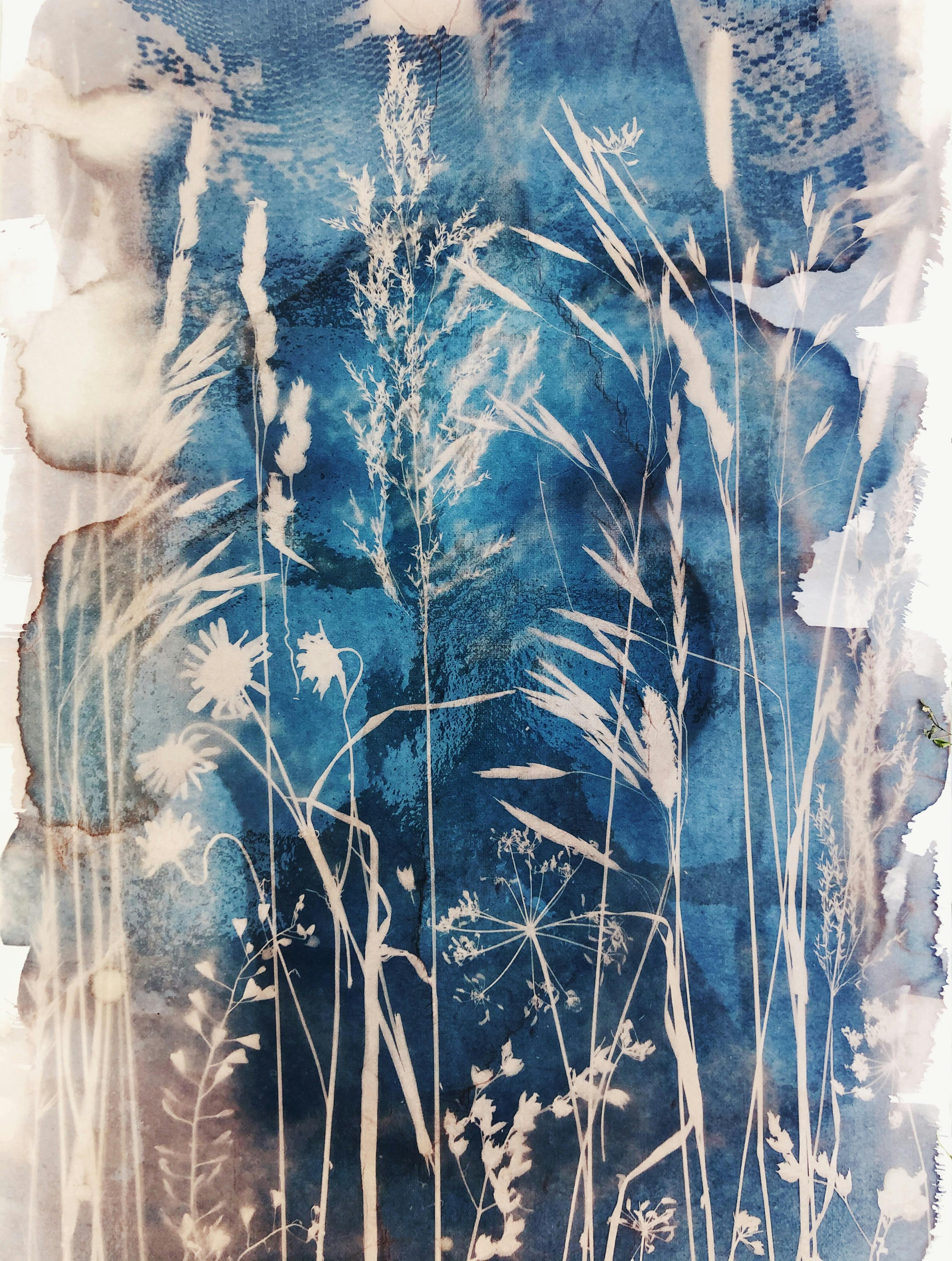 Cyanotype Art of Various Plants and Flowers · Free Stock Photo