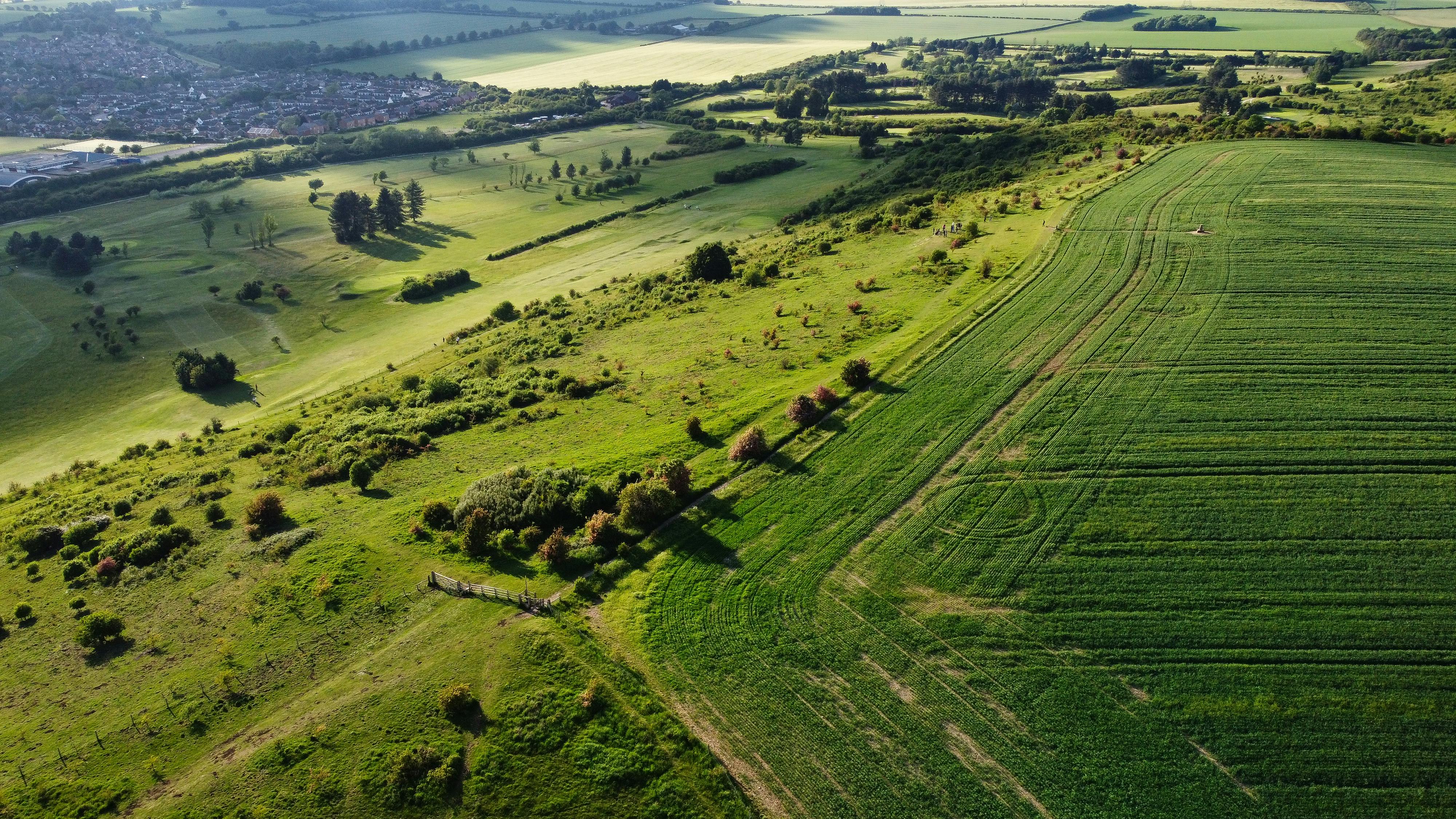 Aerial Shot of Grass Field · Free Stock Photo