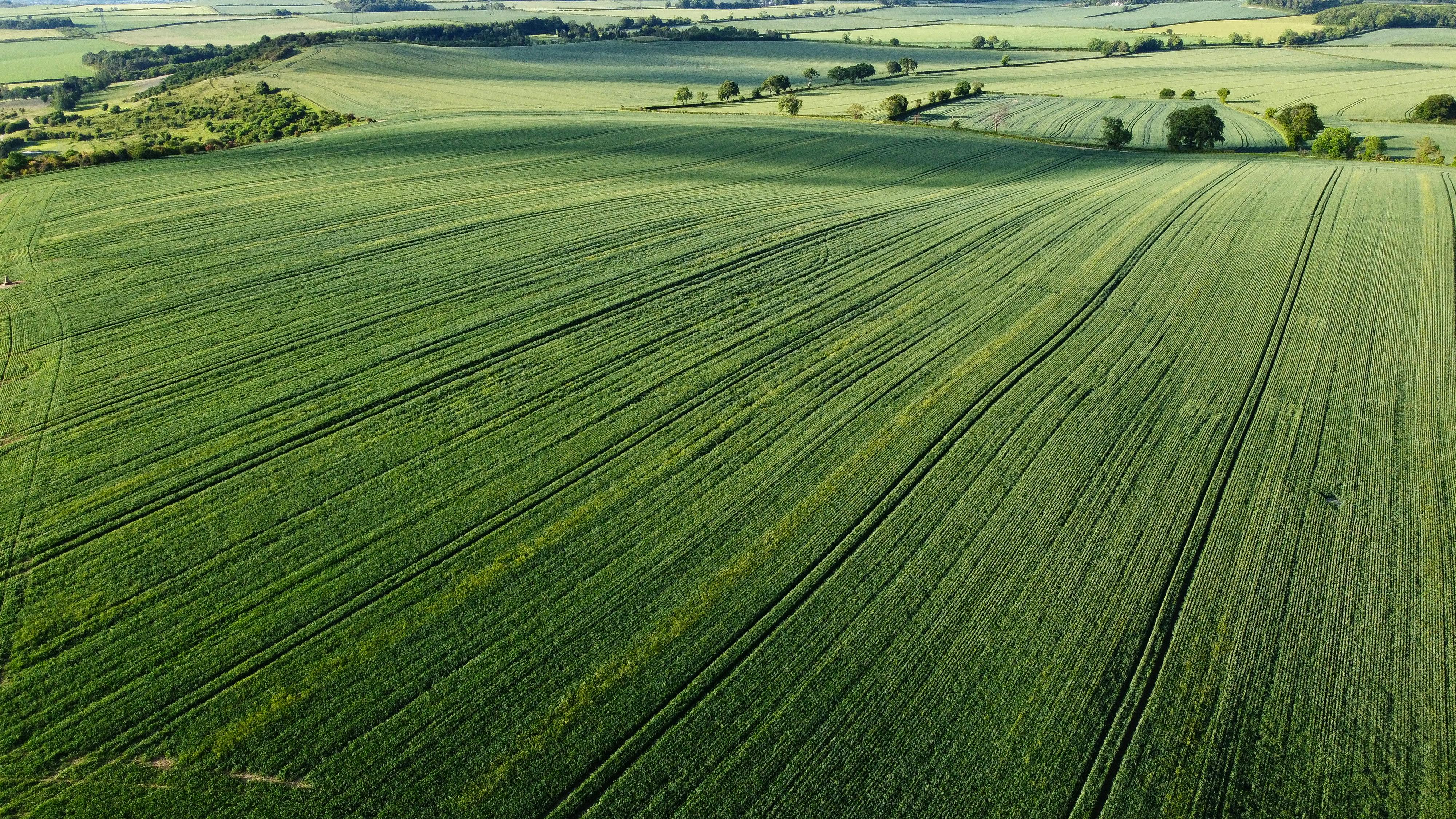 Aerial View of a Cropland · Free Stock Photo