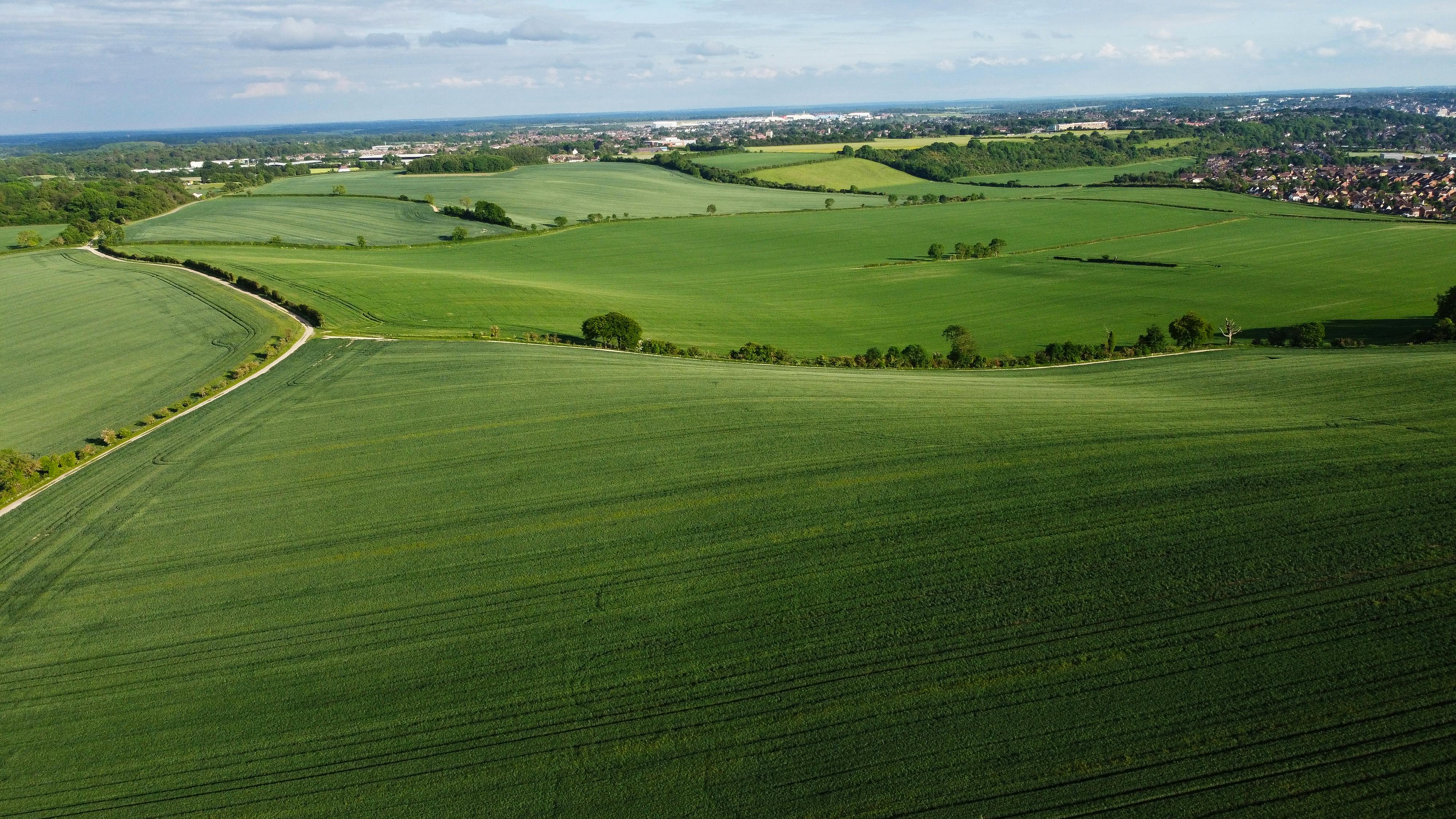 Aerial View of Green Grass Field · Free Stock Photo