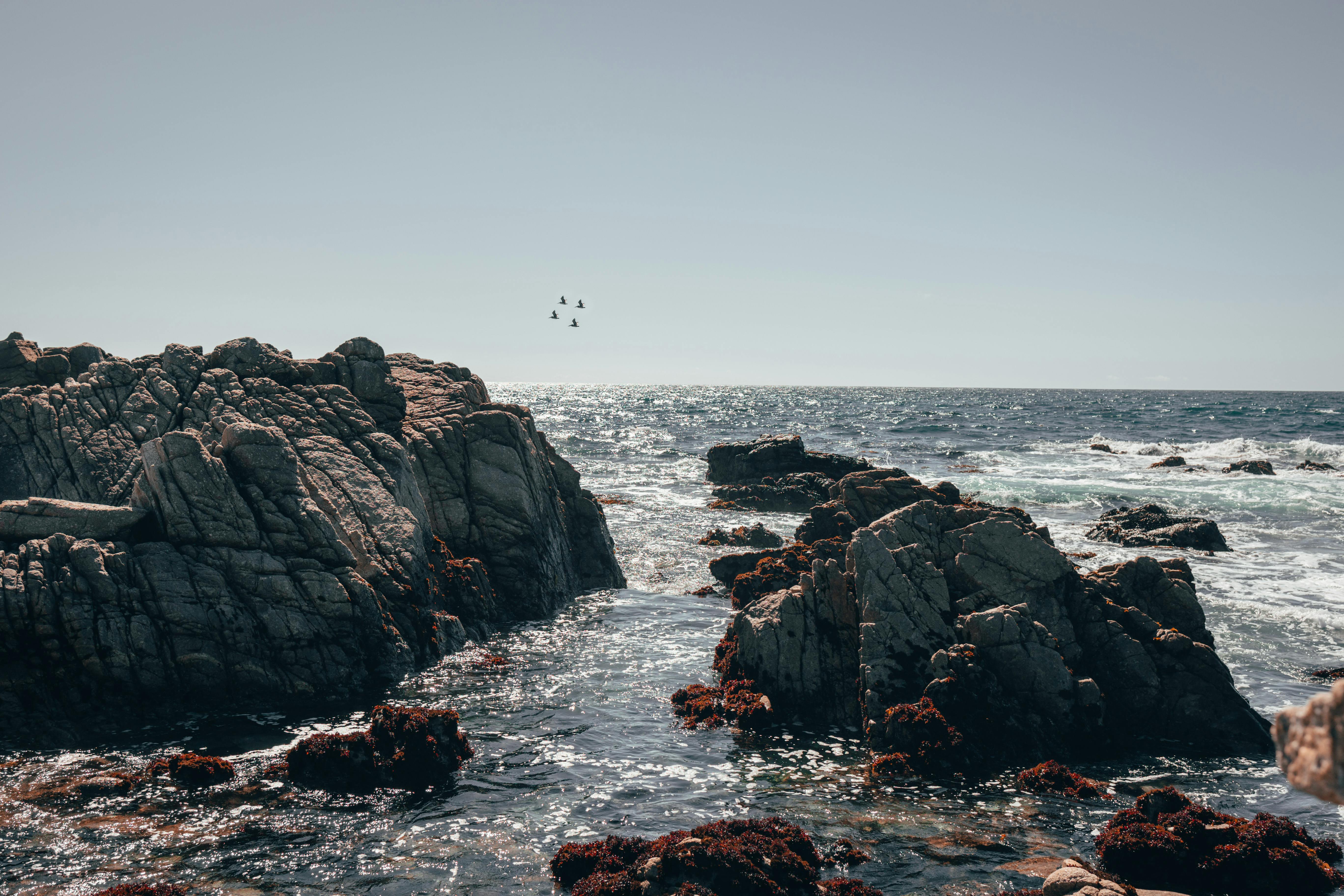 Rocks Formation on the Beach Shore · Free Stock Photo