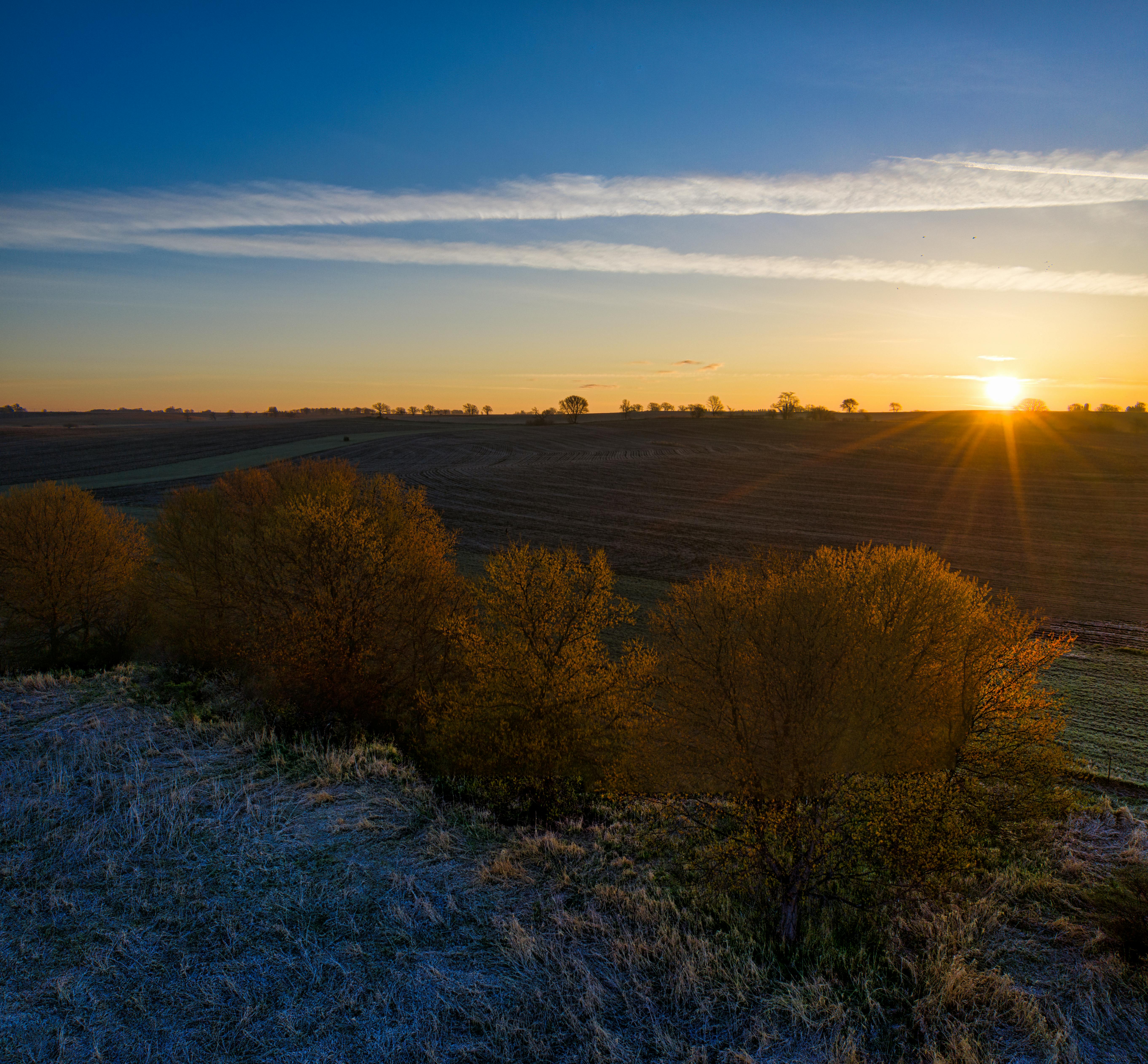 An Open Farm Field during Sunset · Free Stock Photo