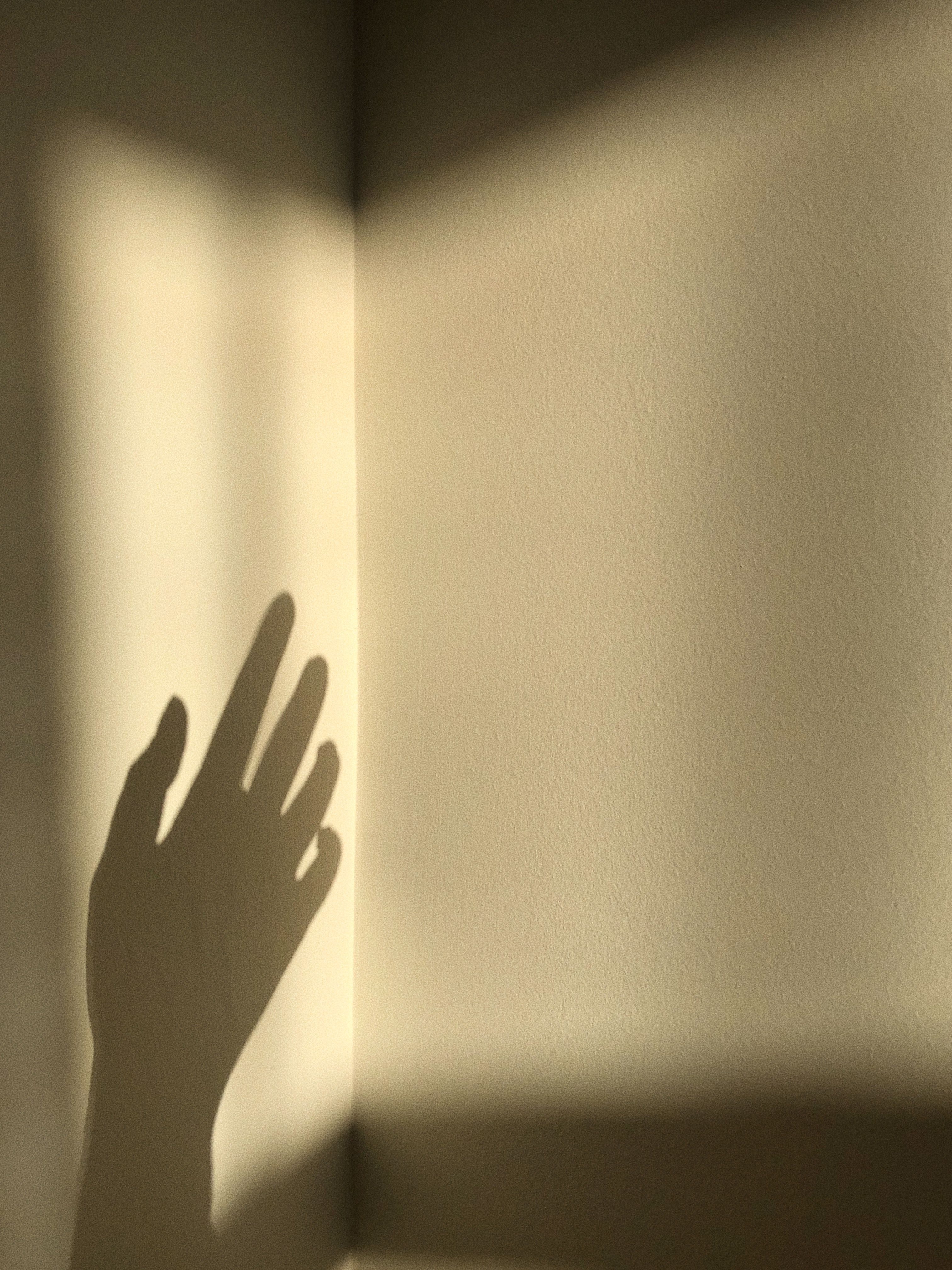 Abstract Photograph of a Window Shadow Cast on a Wall · Free Stock Photo