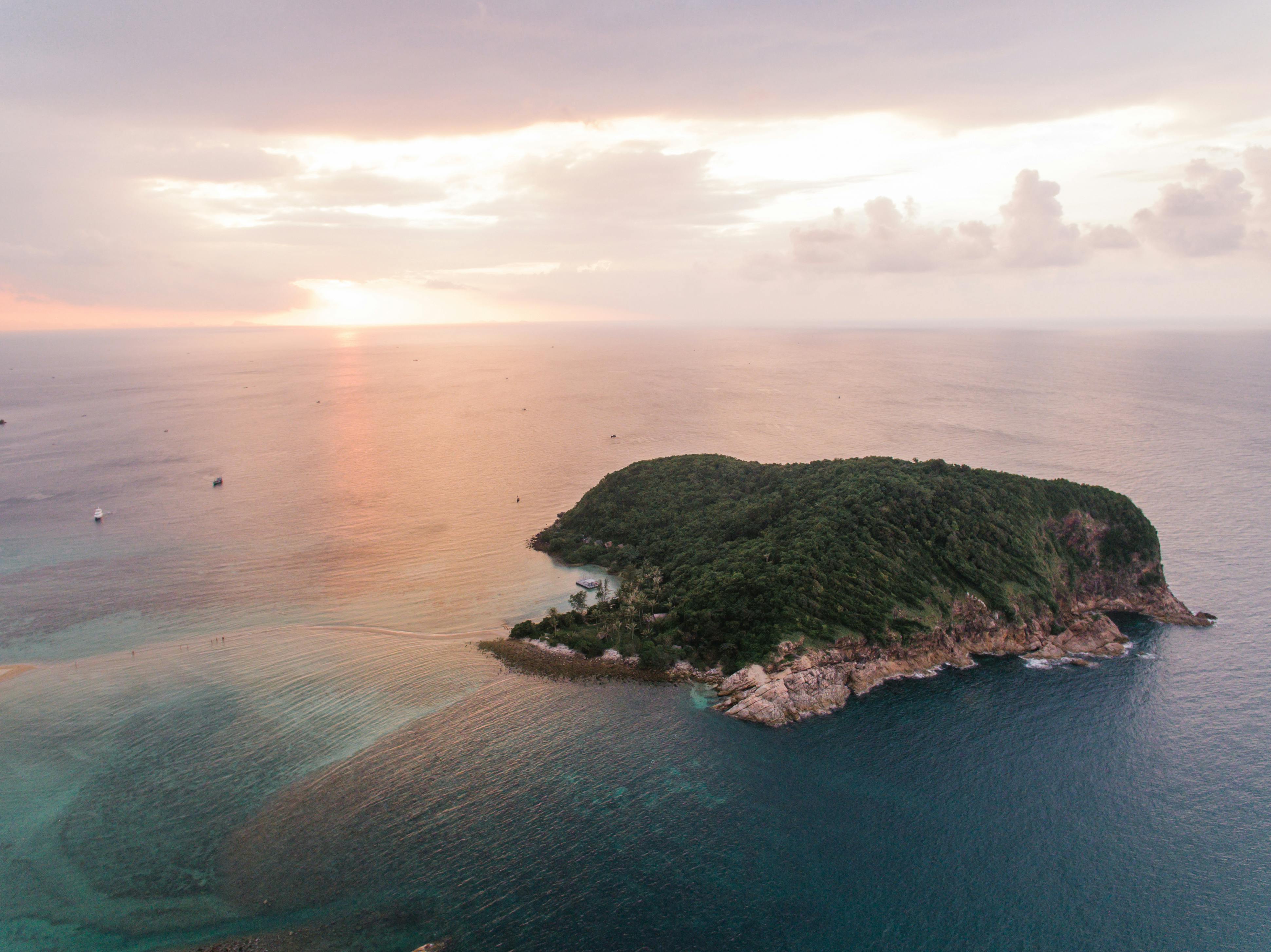 Green Trees on Island · Free Stock Photo
