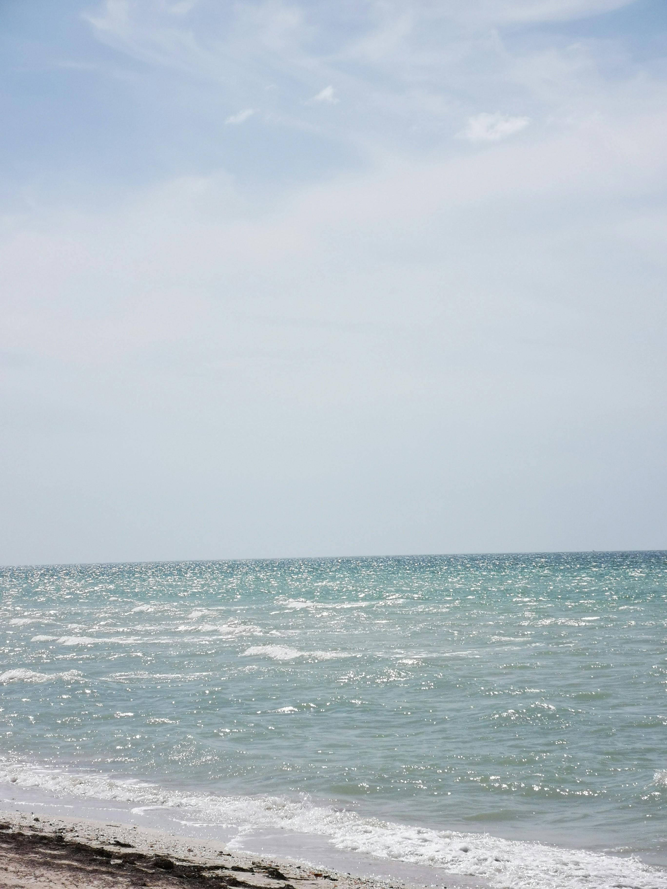 Carlos Porras - 사진