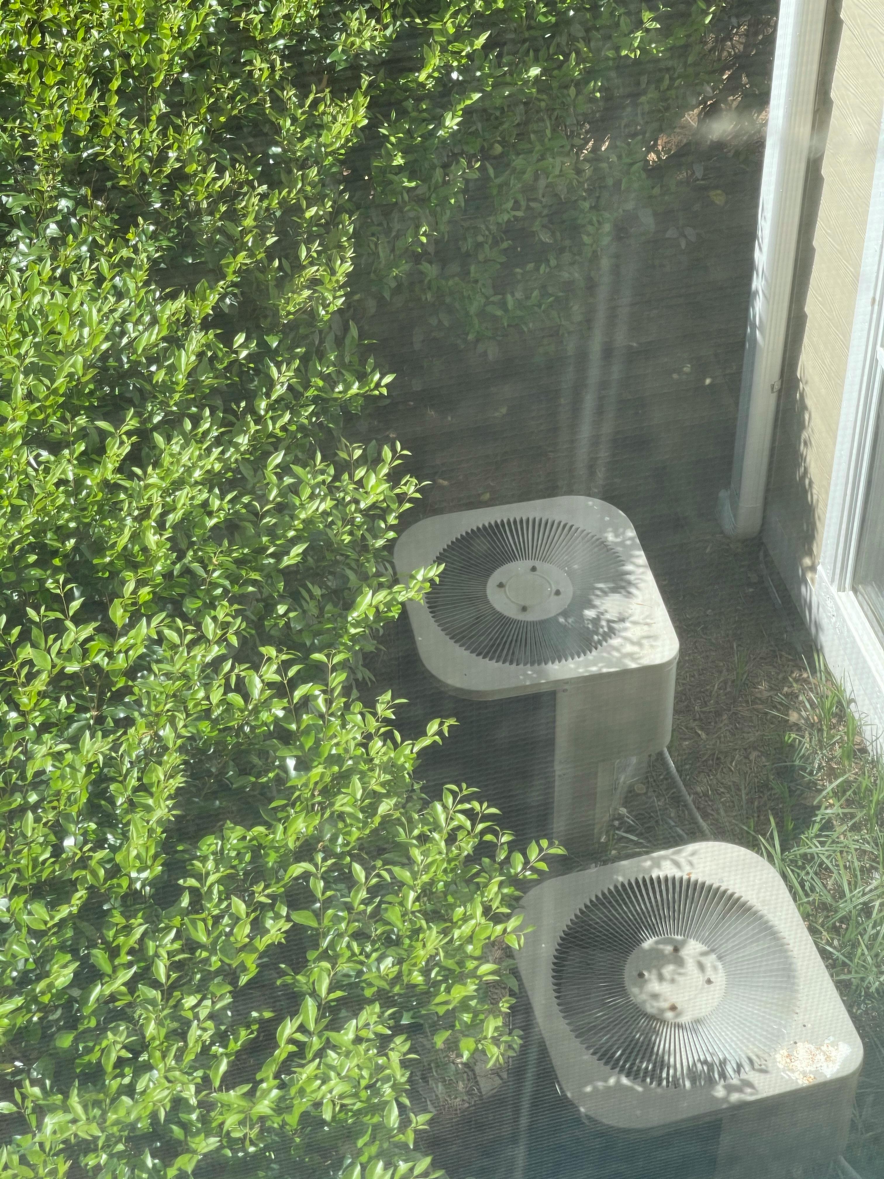 Luther Williams - 사진