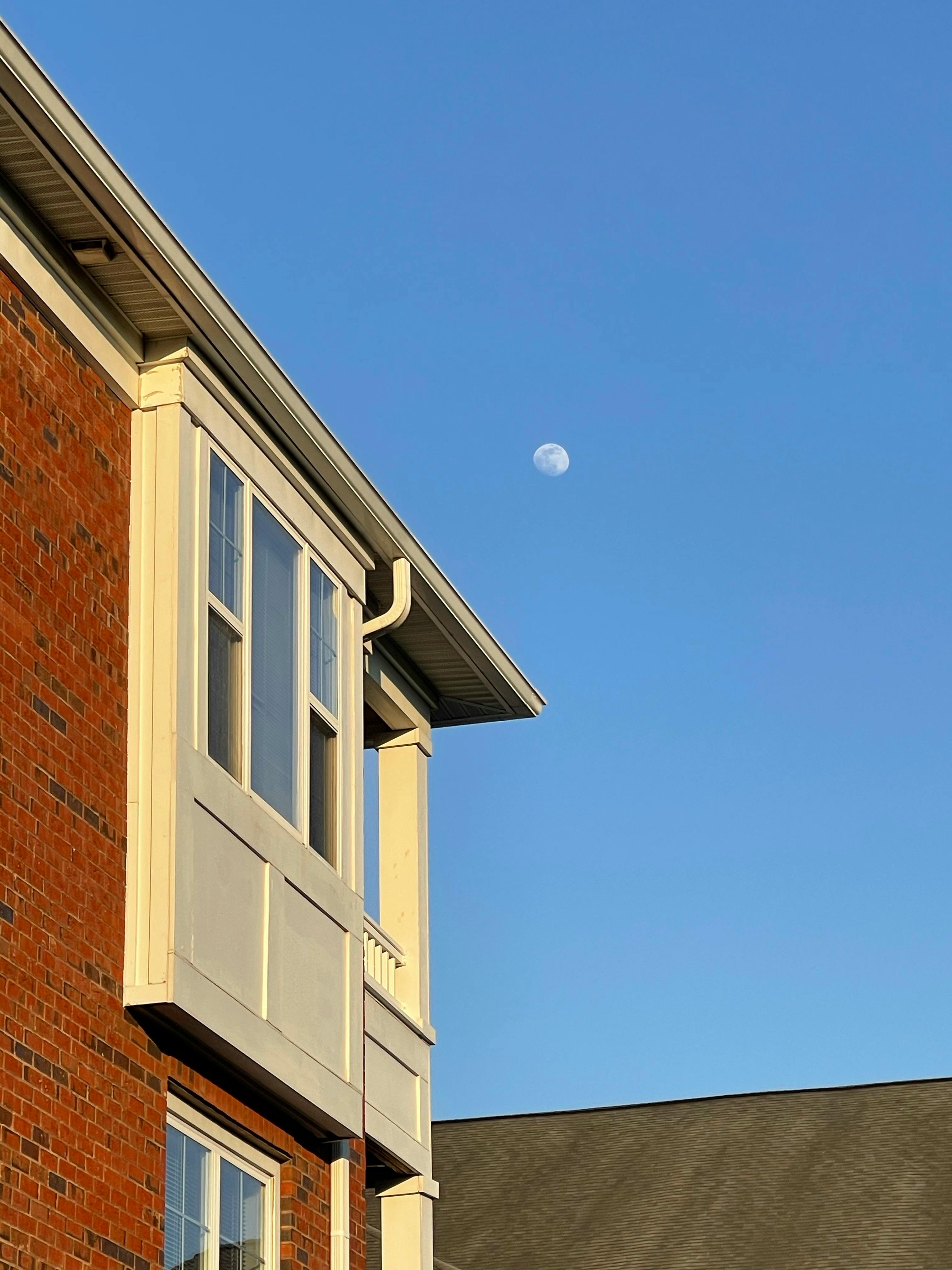 Luther Williams – Fotografie