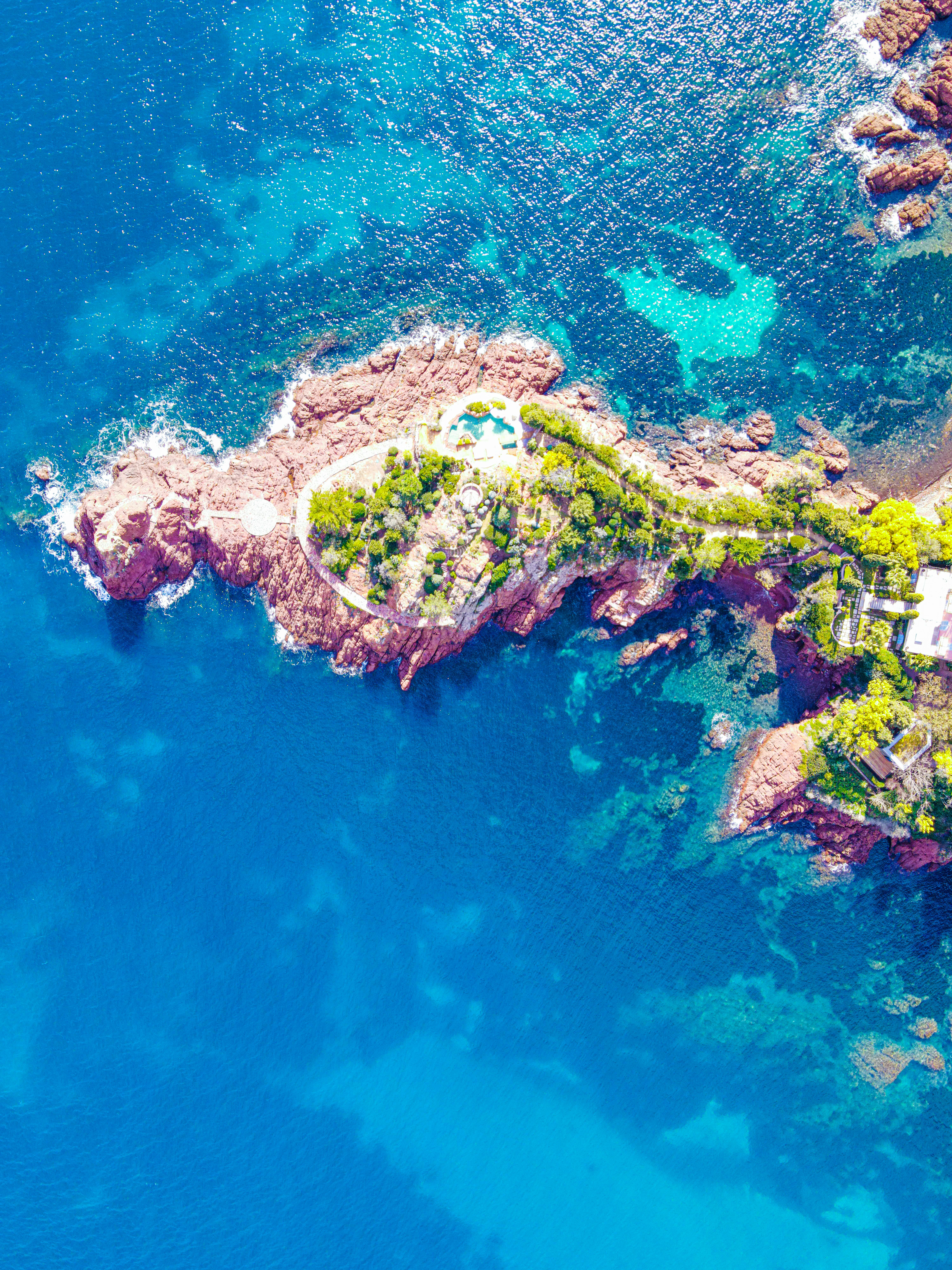 Coral Reef in Blue Sea · Free Stock Photo