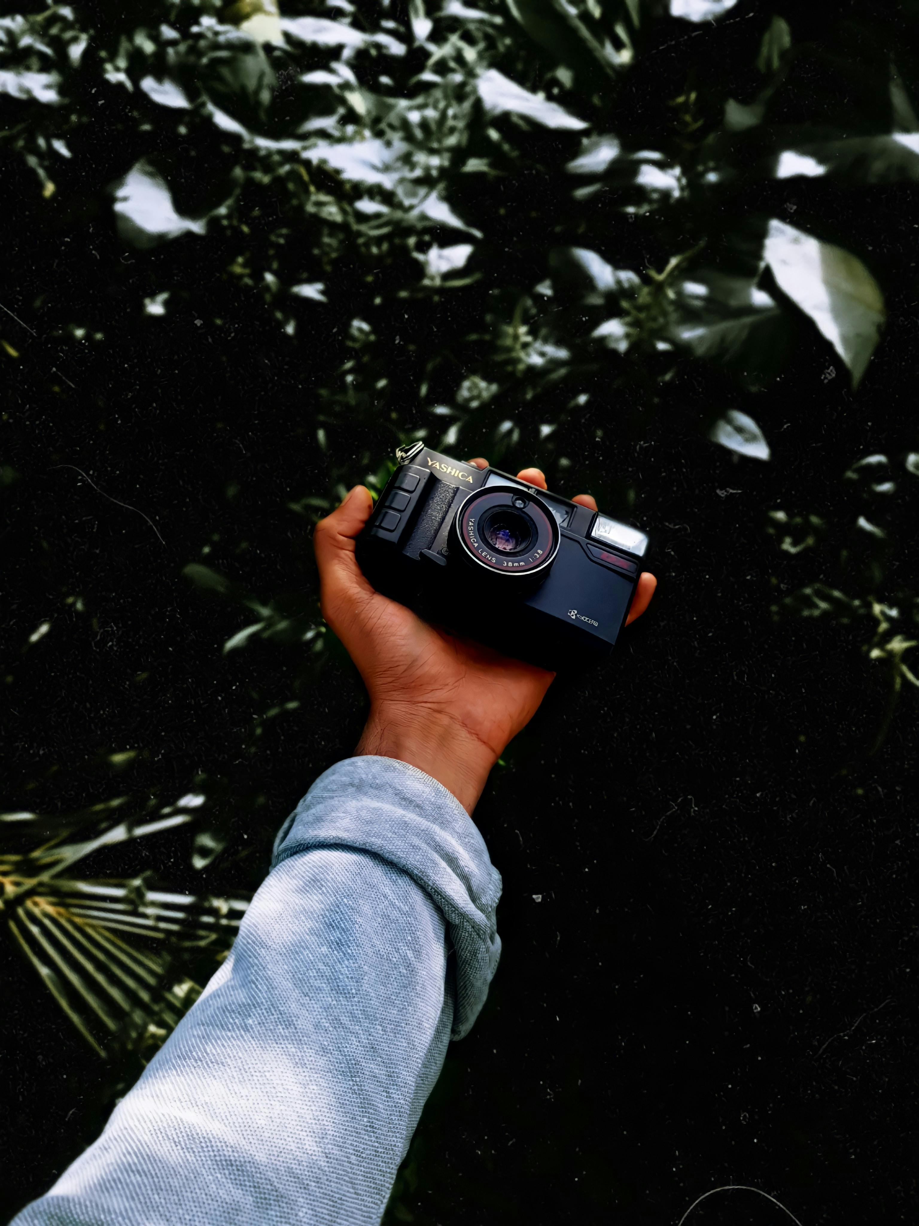 Pixart Photos, Download The BEST Free Pixart Stock Photos & HD Images