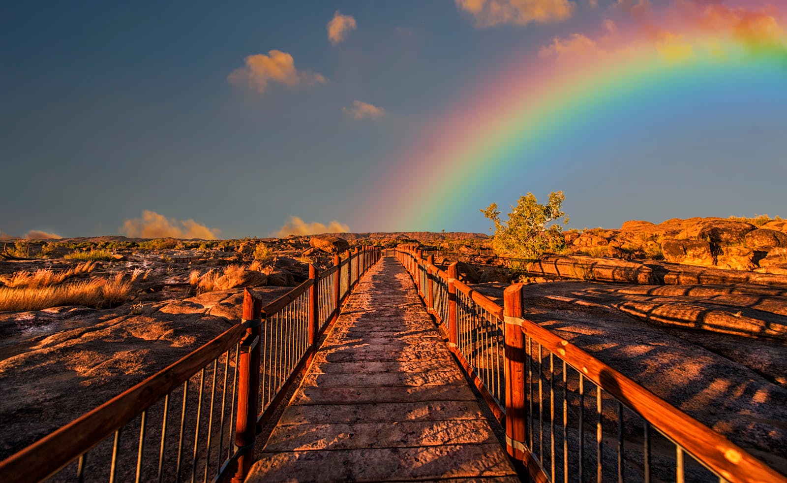Rainbows Photos, Download The BEST Free Rainbows Stock Photos & HD Images