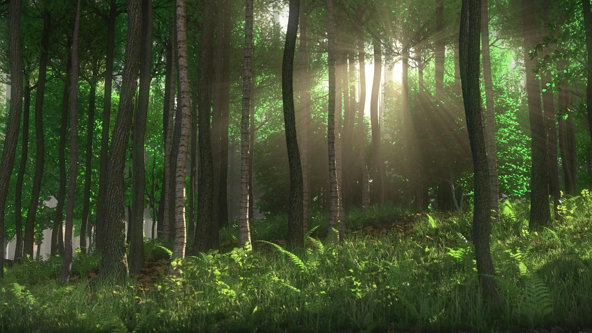 Free stock photo of 3d, forest, hill